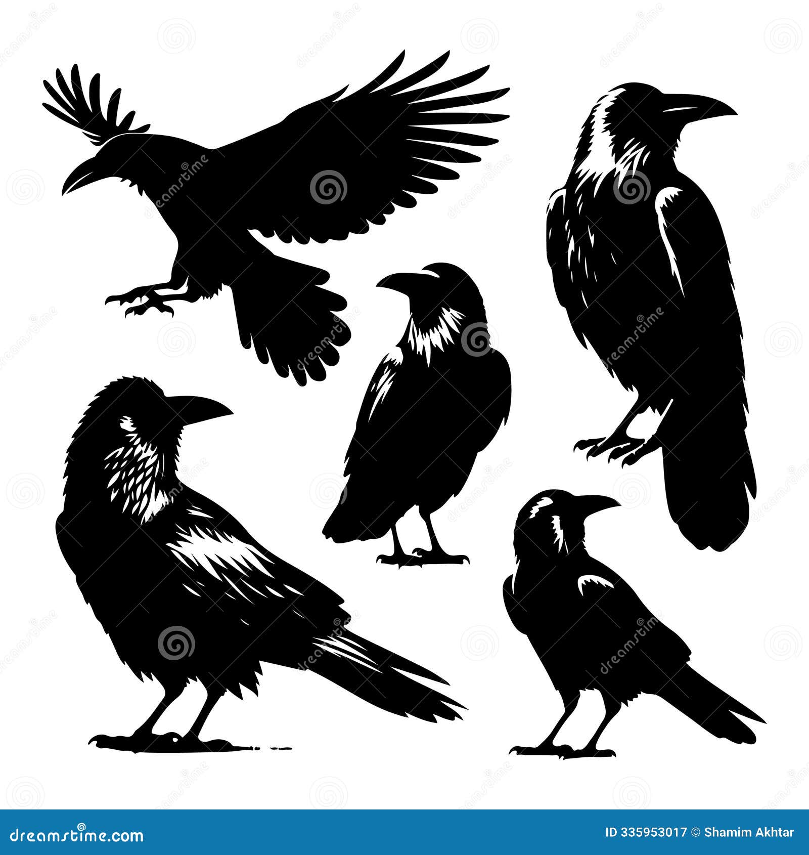 Set of Crow Silhouette Vector on a White Background Stock Illustration ...