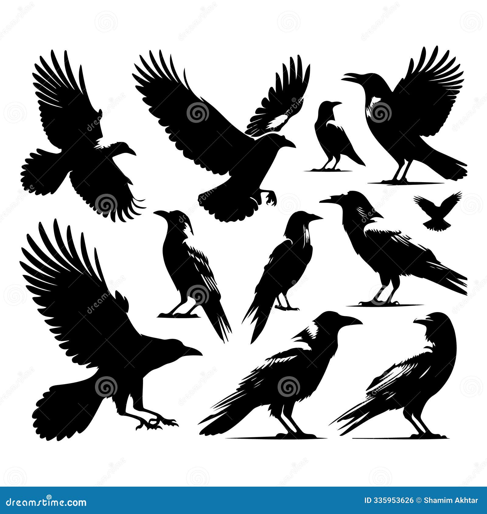 Set of Crow Silhouette Vector on a White Background Stock Illustration ...