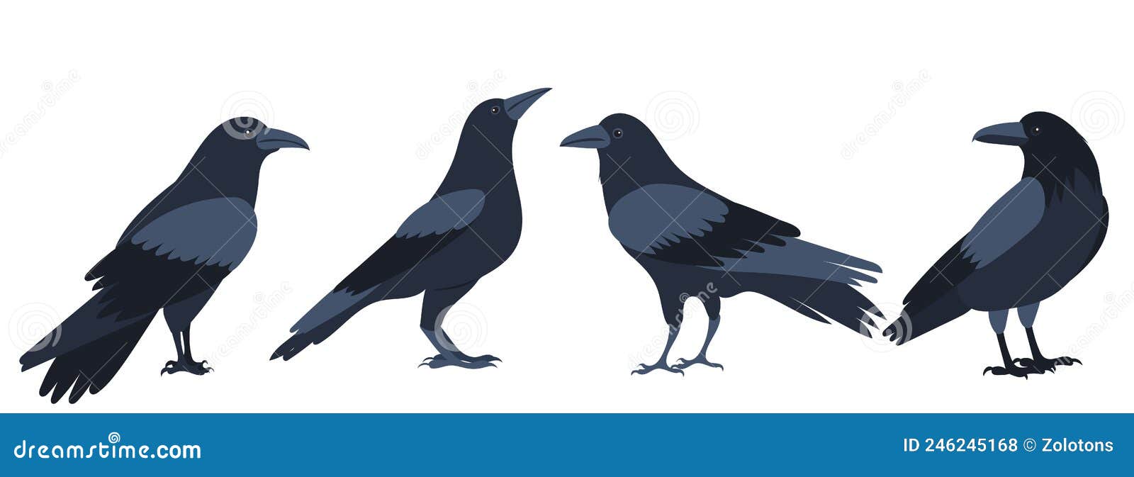 Set Of Crows Flat Design , Isolated On White Background Royalty-Free ...
