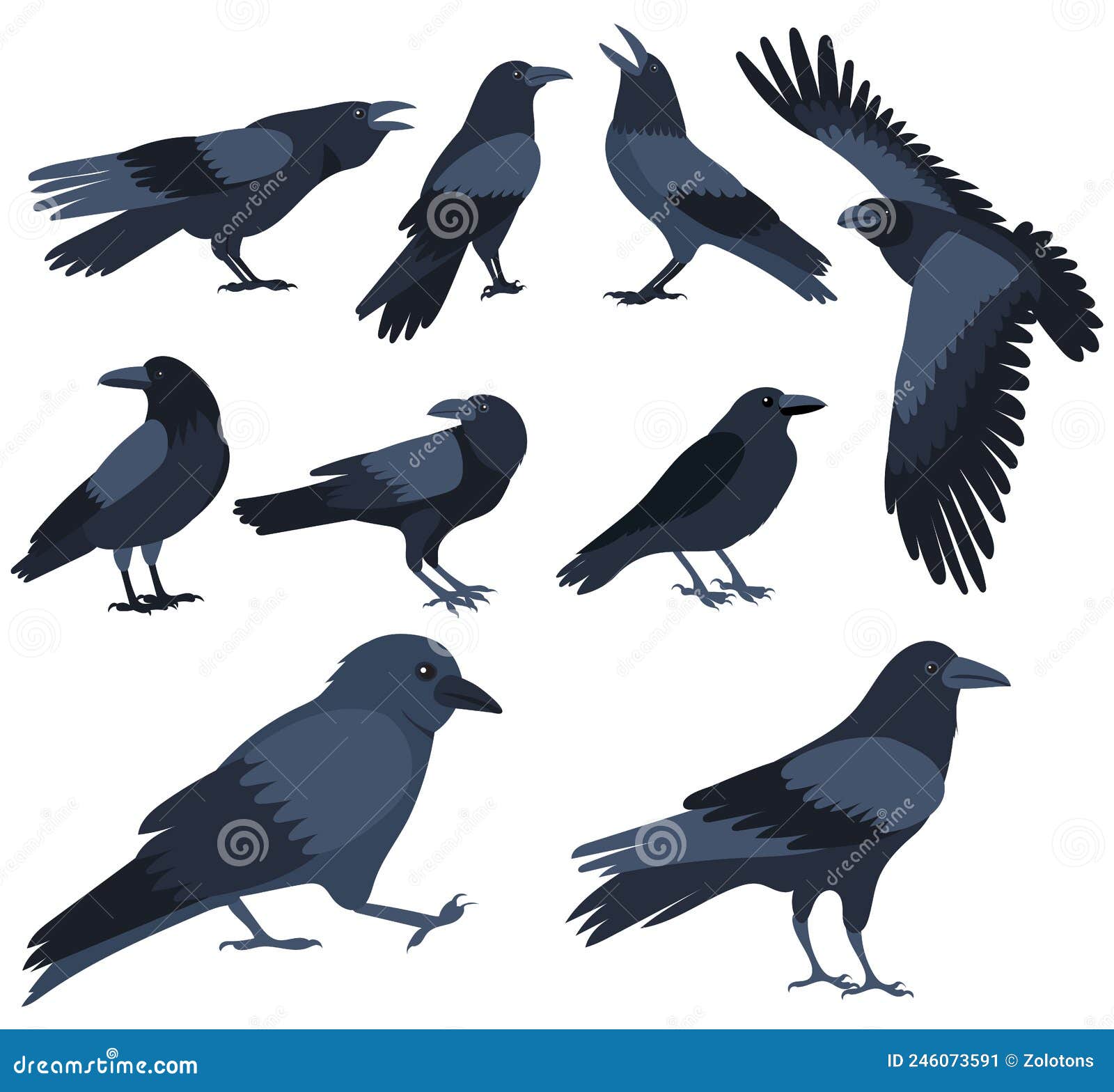 Set Of Crows Flat Design , Isolated On White Background Royalty-Free ...