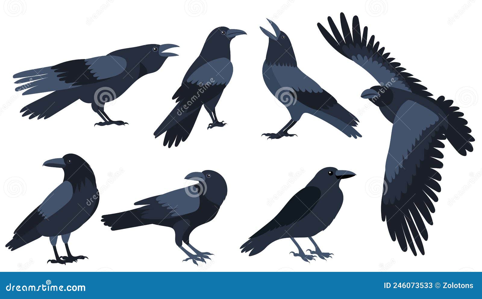 Set Of Crows Flat Design , Isolated On White Background Royalty-Free ...