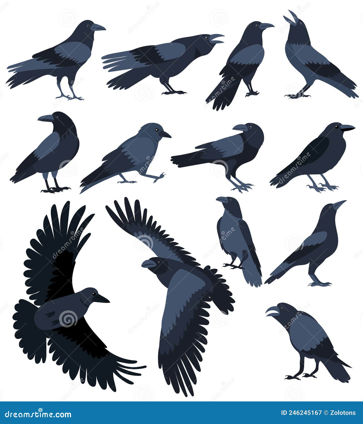 Set Of Crows Flat Design , Isolated On White Background Royalty-Free ...