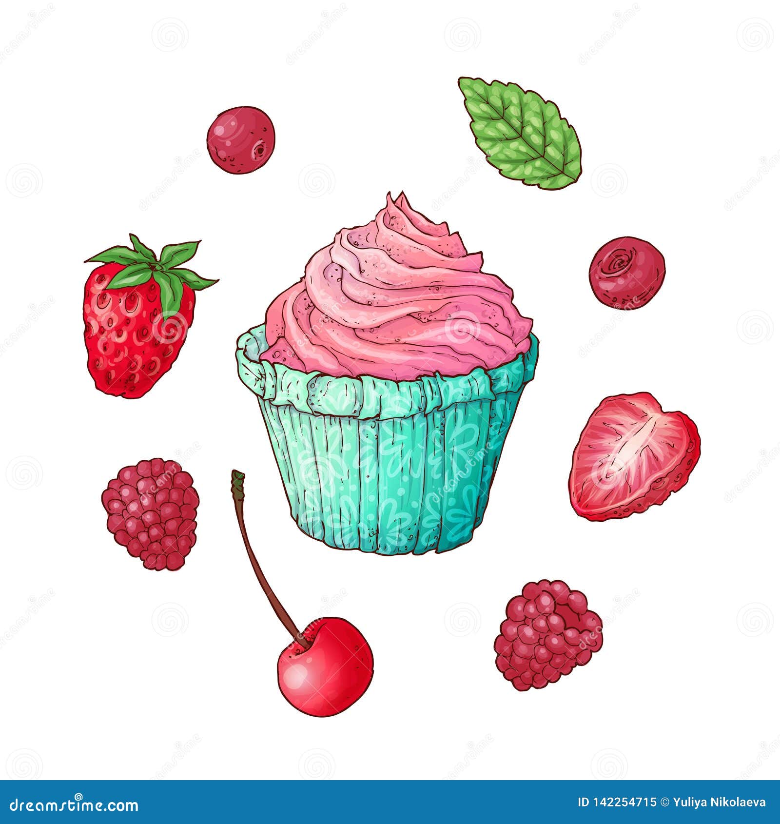 Set Cupcake Raspberry Strawberry Cherry, Hand Drawing. Vector ...