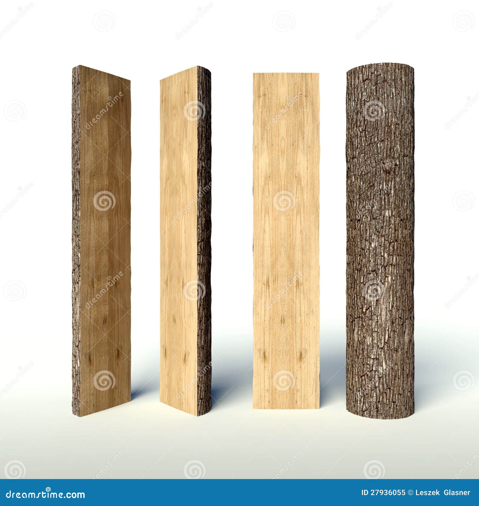 Set of Cut Tree Trunk, Cross Section Stock Illustration - Illustration ...