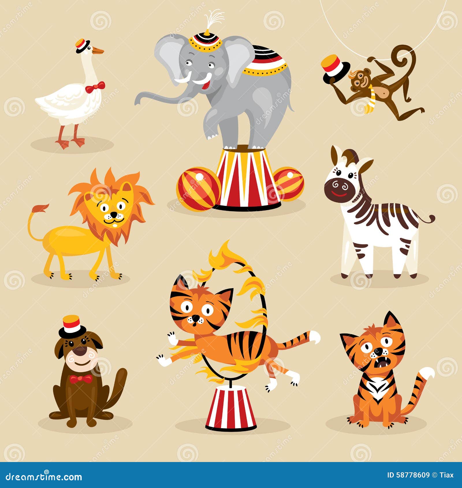 Set of cute circus animals stock vector. Illustration of decoration ...