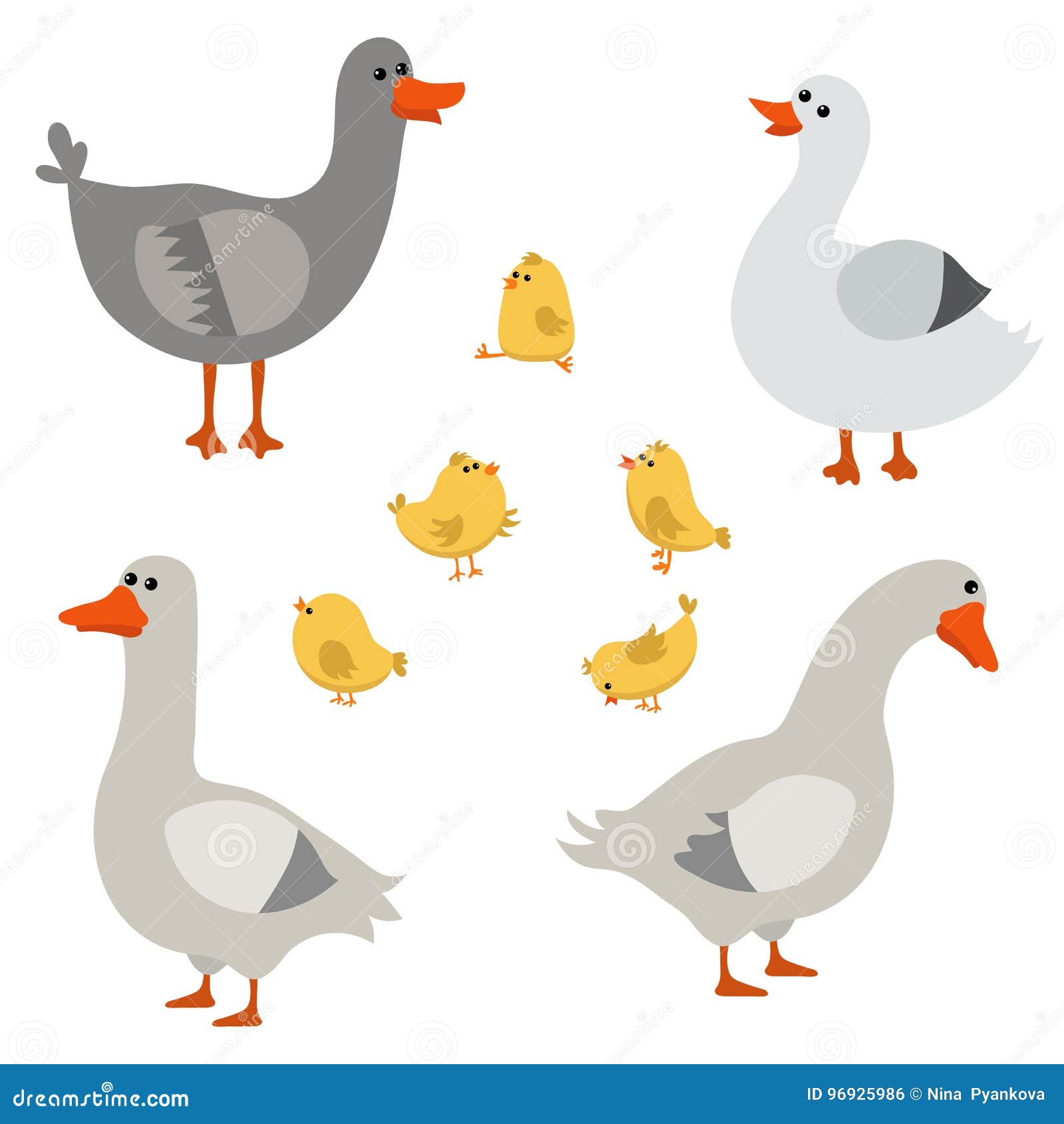 Cute Geese In Different Poses. Cartoon Flat Style Farm Animals Birds ...