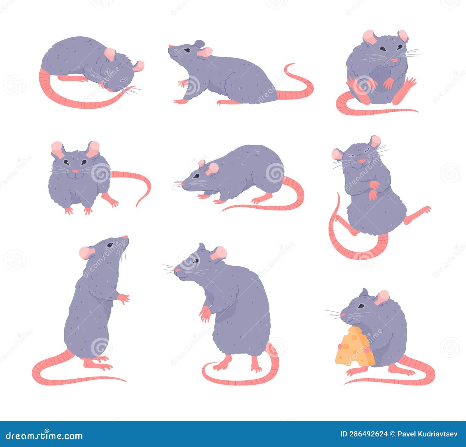 Set of Cute Gray Rats in Different Poses Flat Style, Vector ...