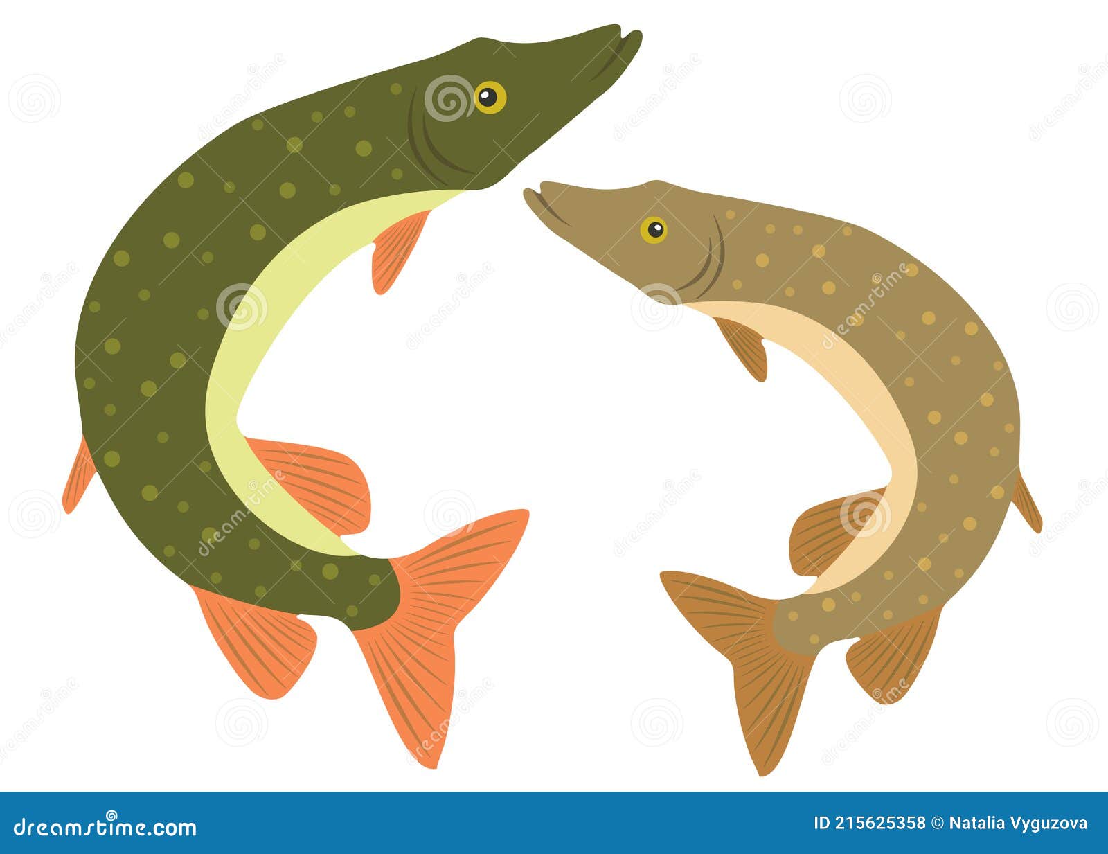 Set of cute pike jumping. stock vector. Illustration of green - 215625358