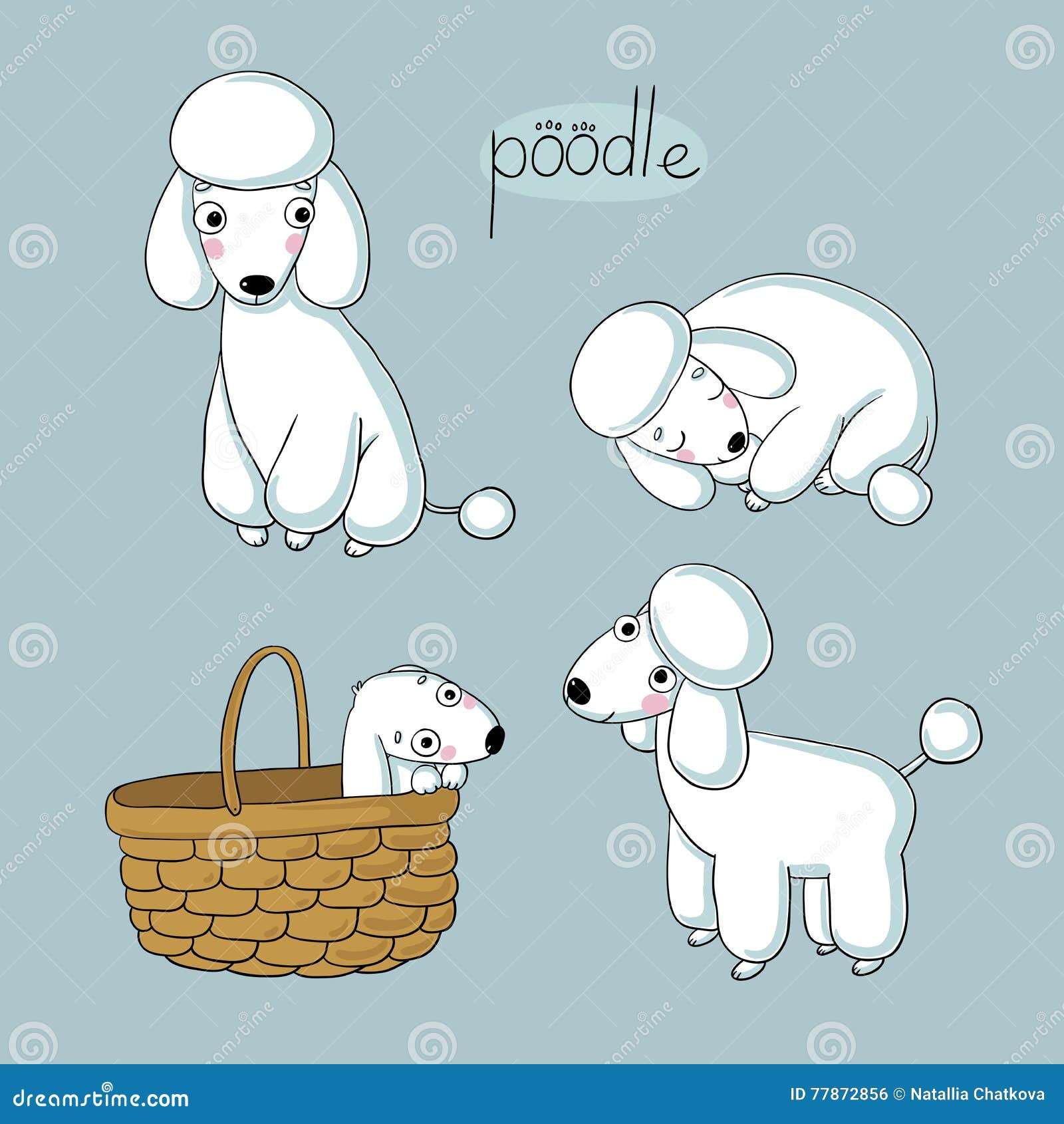 Set Of Cute Poodle Illustration In Different Poses. | CartoonDealer.com ...