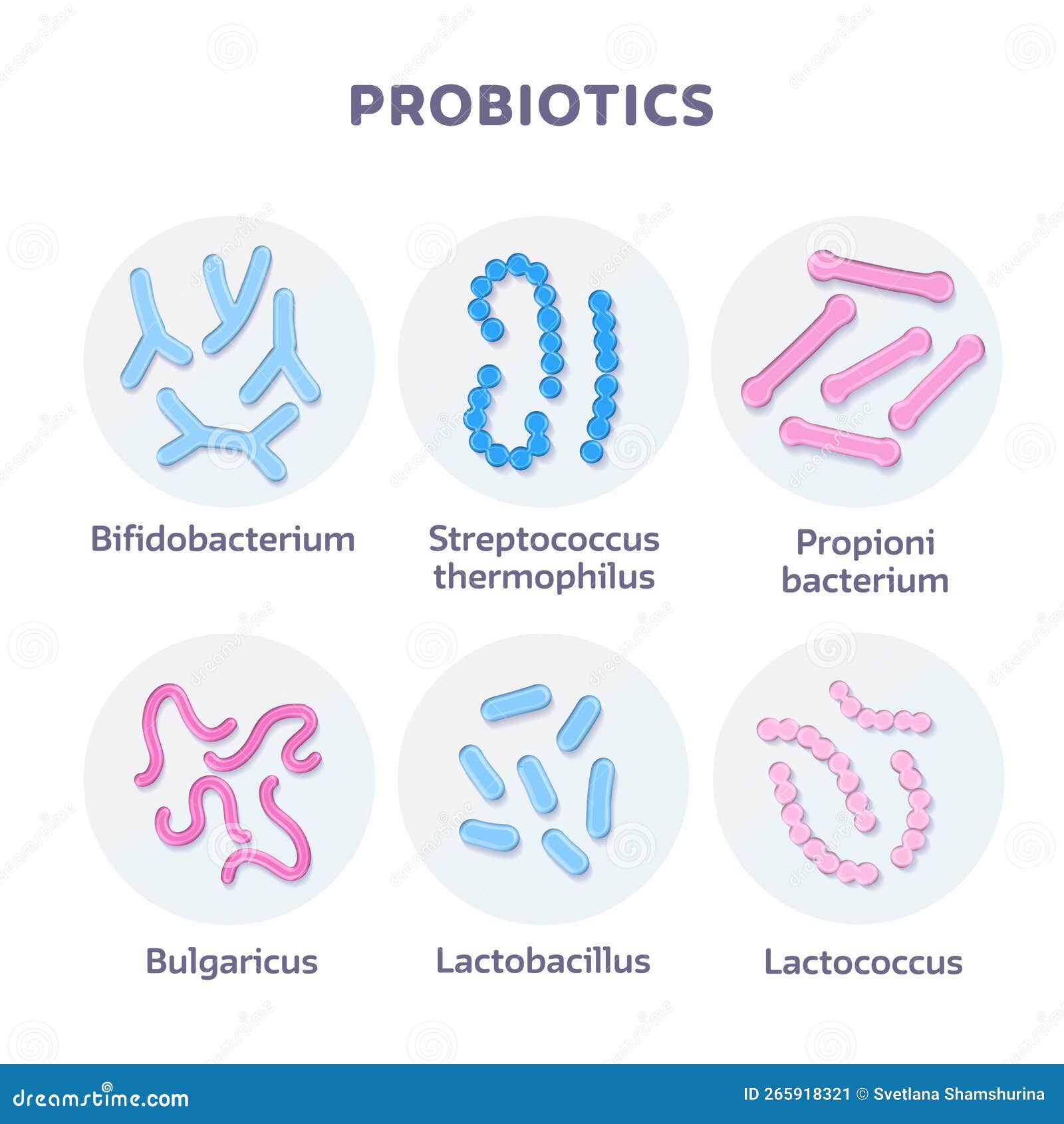 Set Of 3d Render Probiotic Bacteria Bulgaricus Lactobacillus