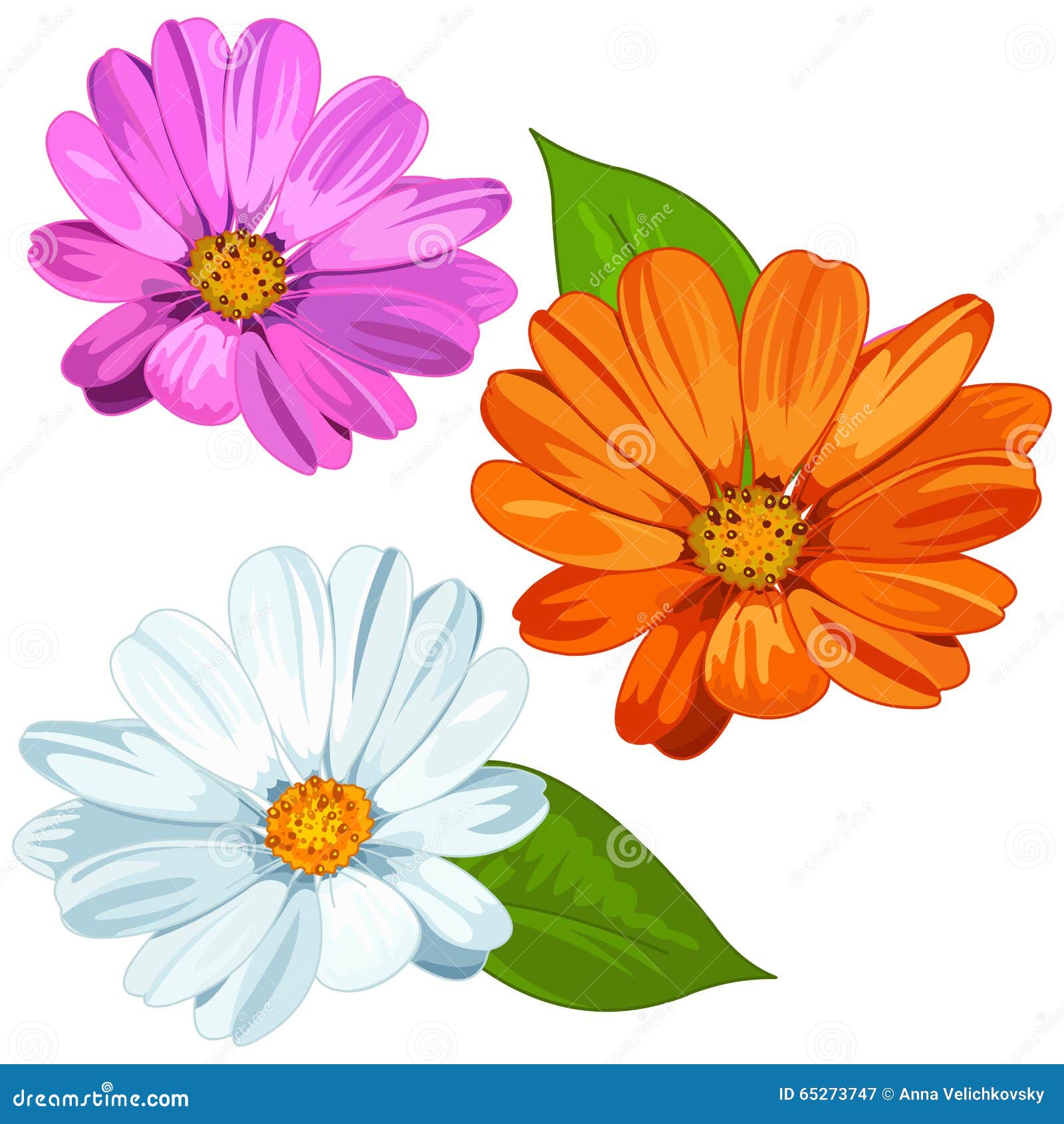 Set of Daisies stock vector. Illustration of icons, illustrations ...