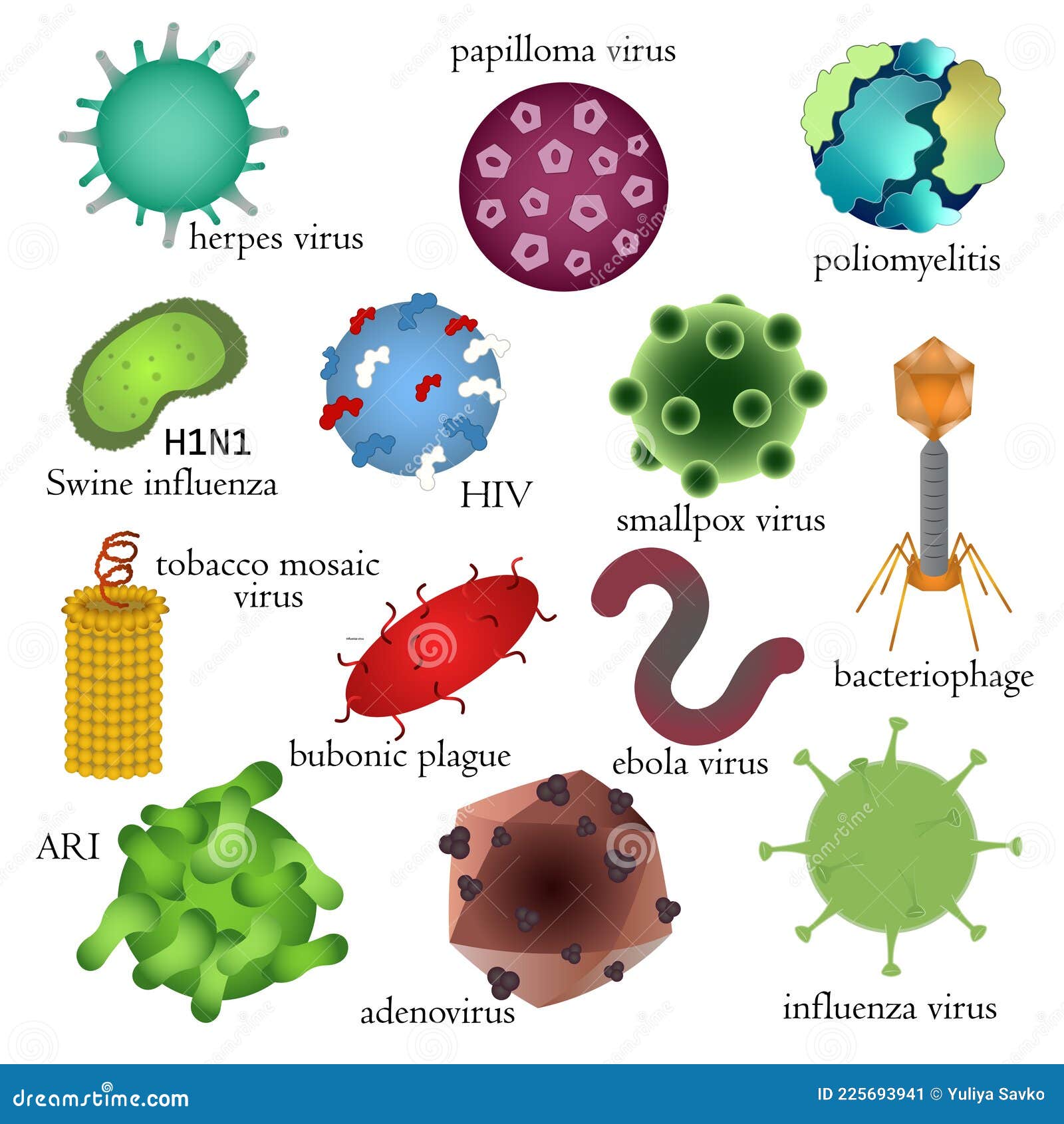 Human Viruses Banner With Space For Text. Virology Science, Microscopic ...