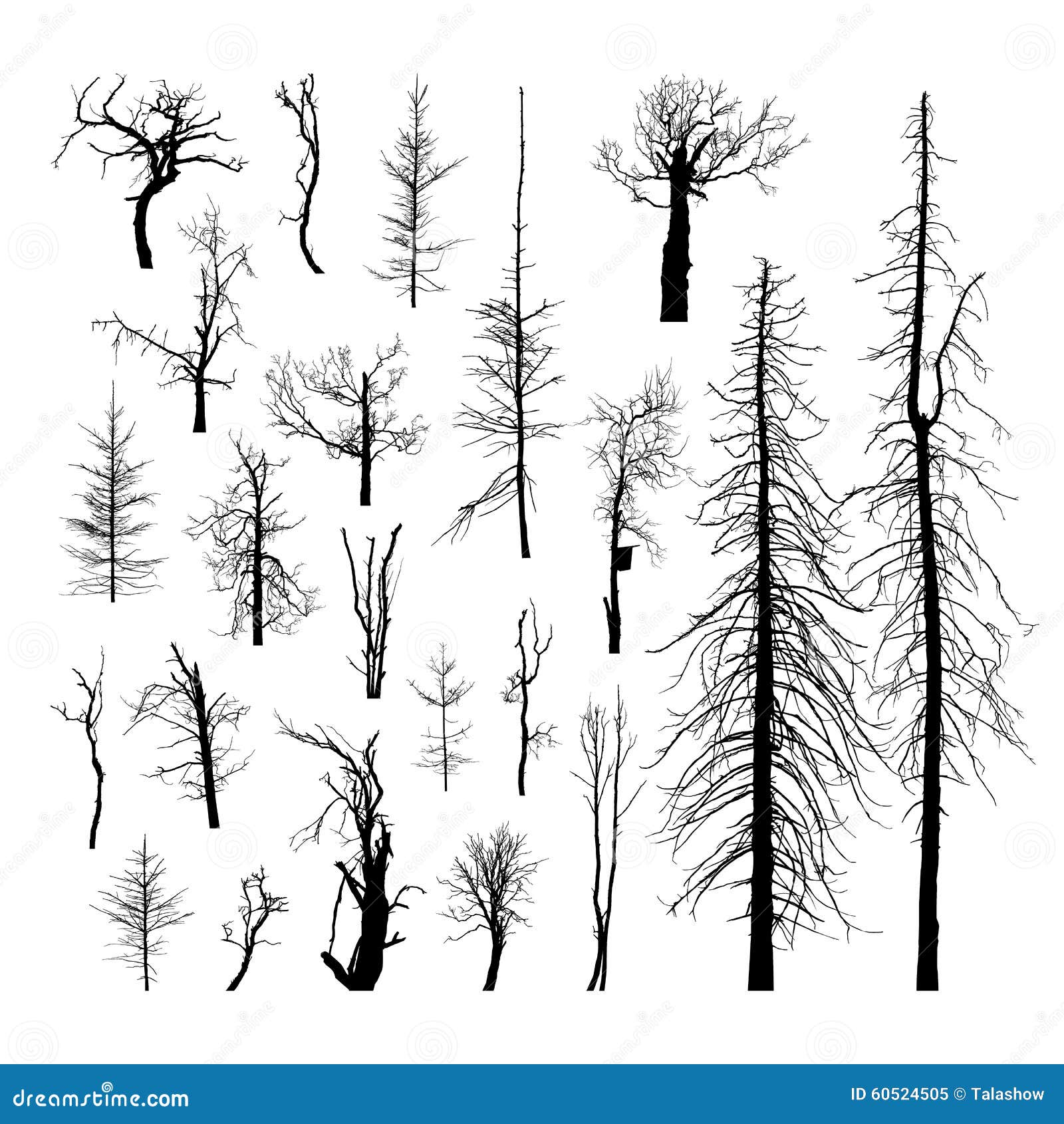 Set of dead trees stock vector. Illustration of outline - 60524505 Set of dead trees stock vector. Illustration of outline - 60524505