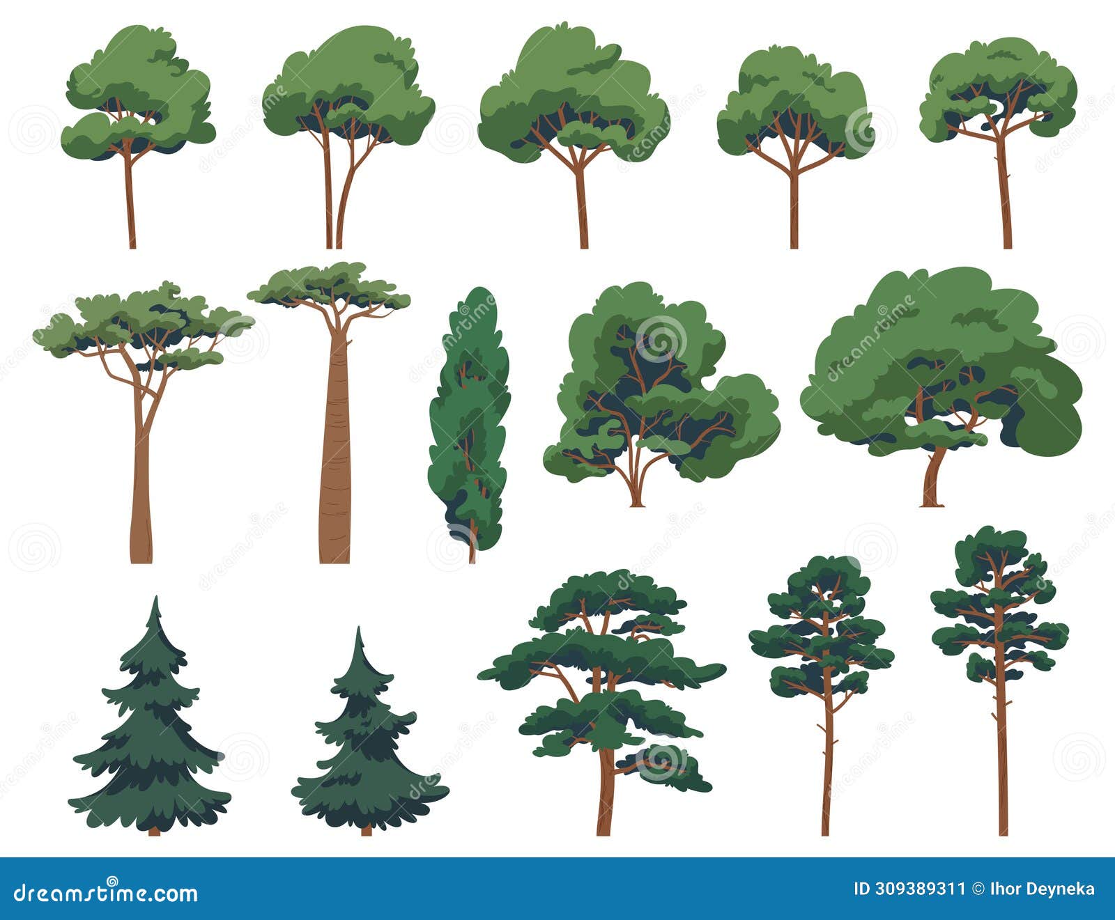 A Set of Deciduous and Coniferous Trees. Cartoon Plants. Forest with ...