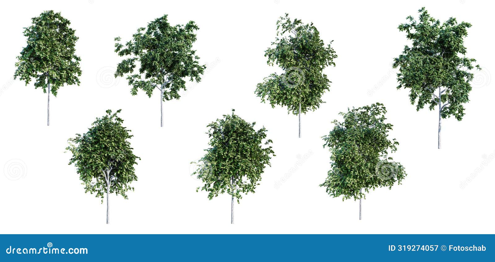 Deciduous Tree Vector Illustration | CartoonDealer.com #30087654