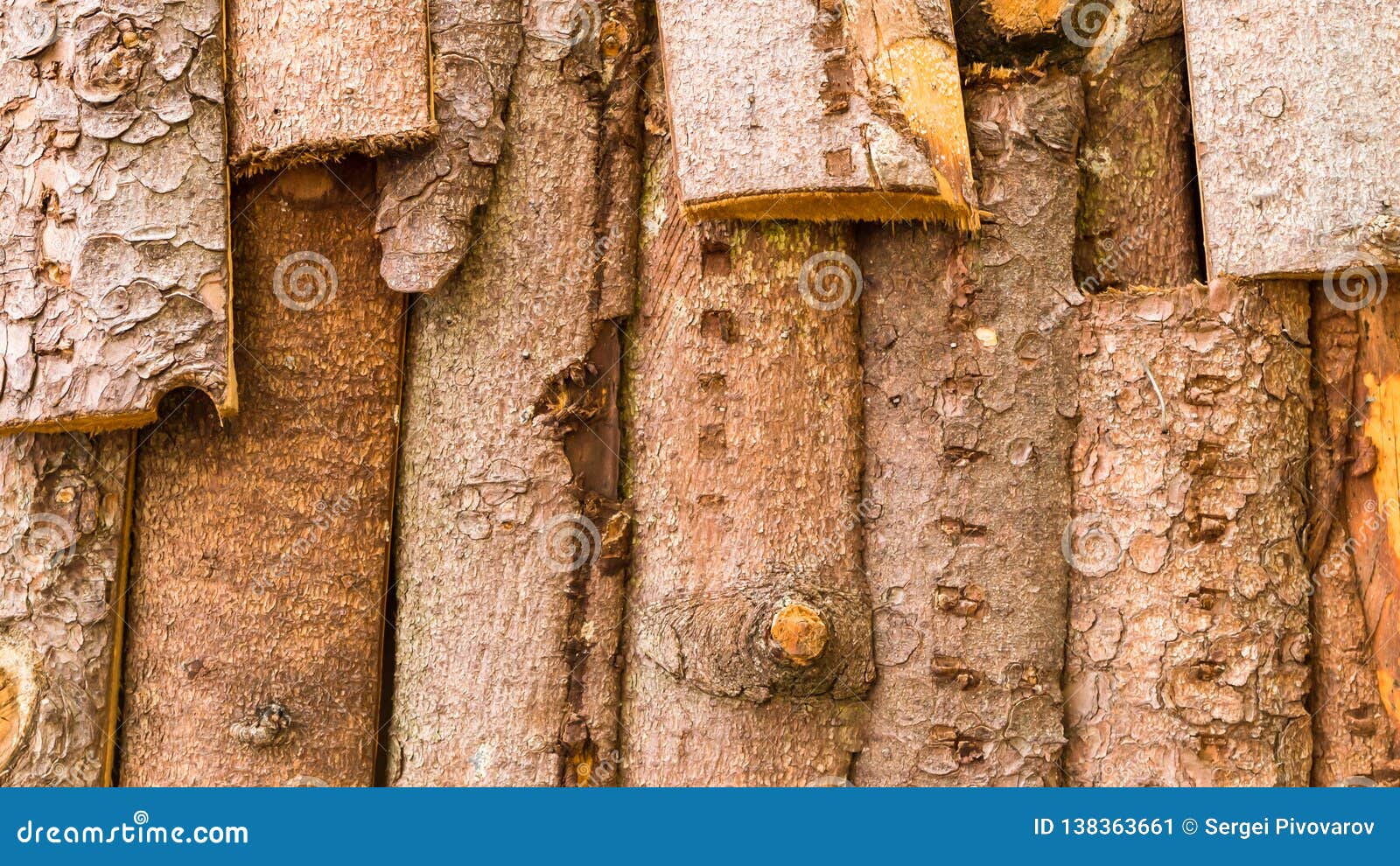 Set Decor Eco Rustic Tree Bark Dried Natural Pattern Close-up Vertical ...