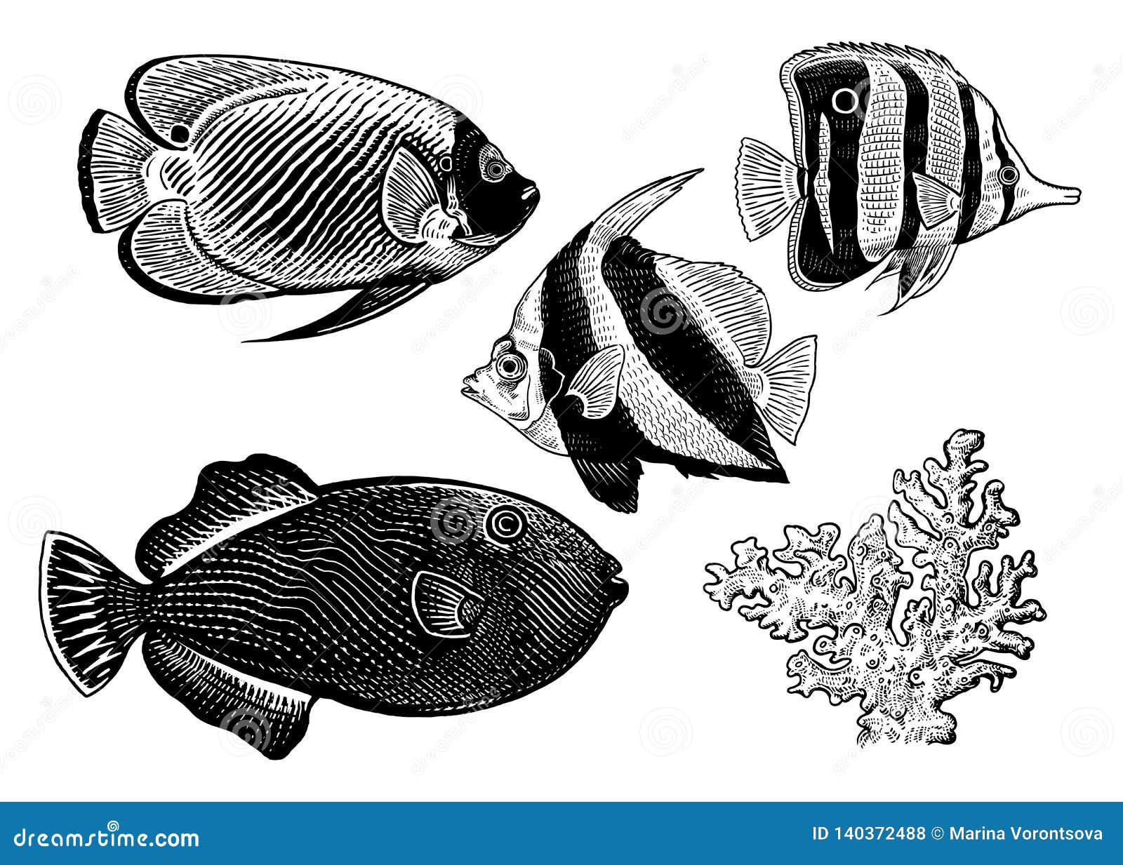Set of Decorative Aquarium Coral Fish Stock Vector - Illustration of ... Set of Decorative Aquarium Coral Fish Stock Vector - Illustration of ...
