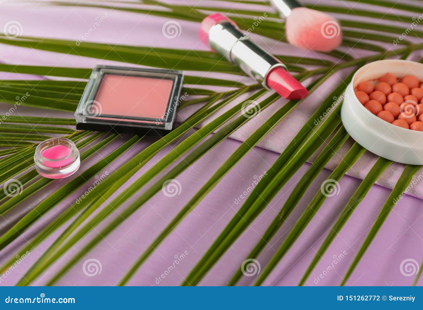 Set of Decorative Cosmetics with Tropical Leaf on Color Background ...