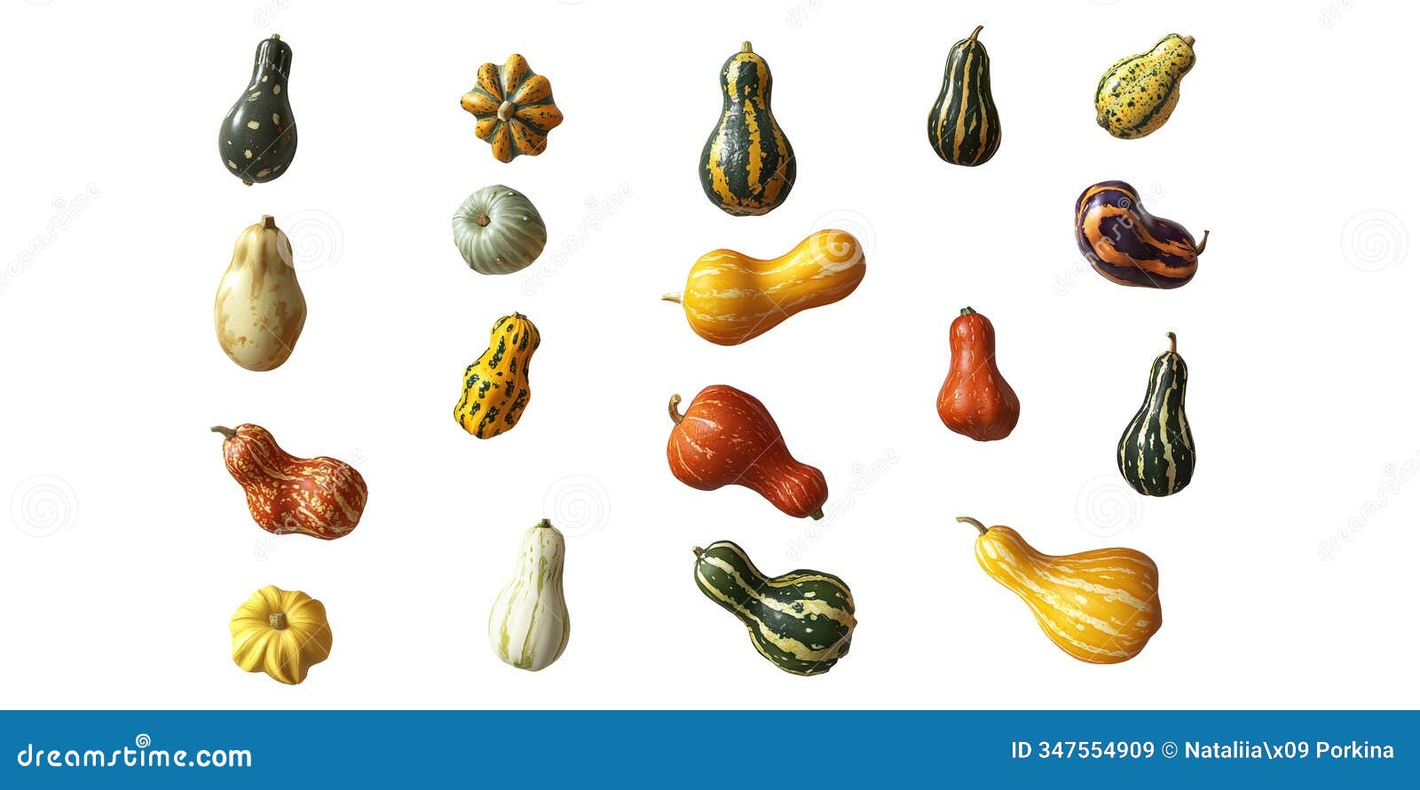 Set of Decorative Gourds in Various Shapes Isolated on Transparent ...