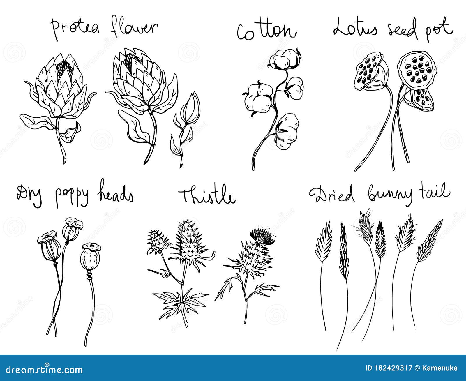 Set of Decorative Line Art Flowers, Vector Illustration Stock Vector ...