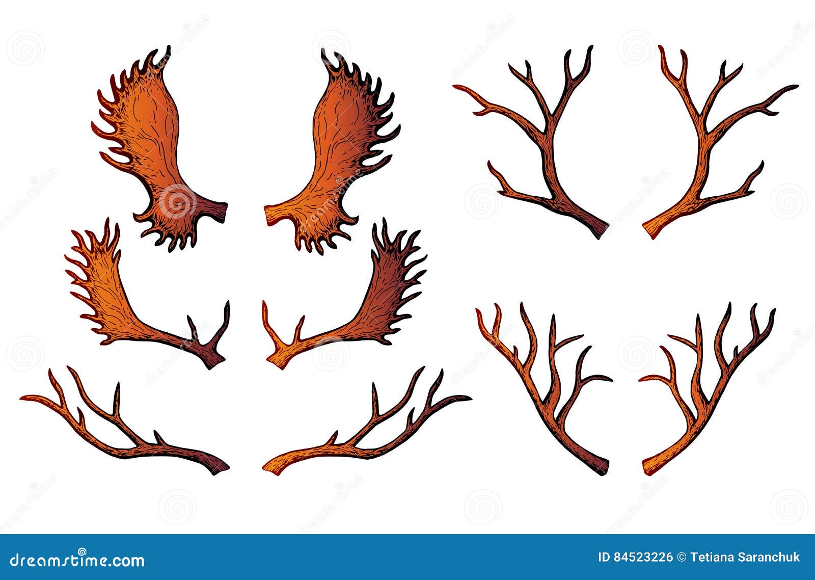 Set of Deer Horns Isolated on White Background Stock Vector ...