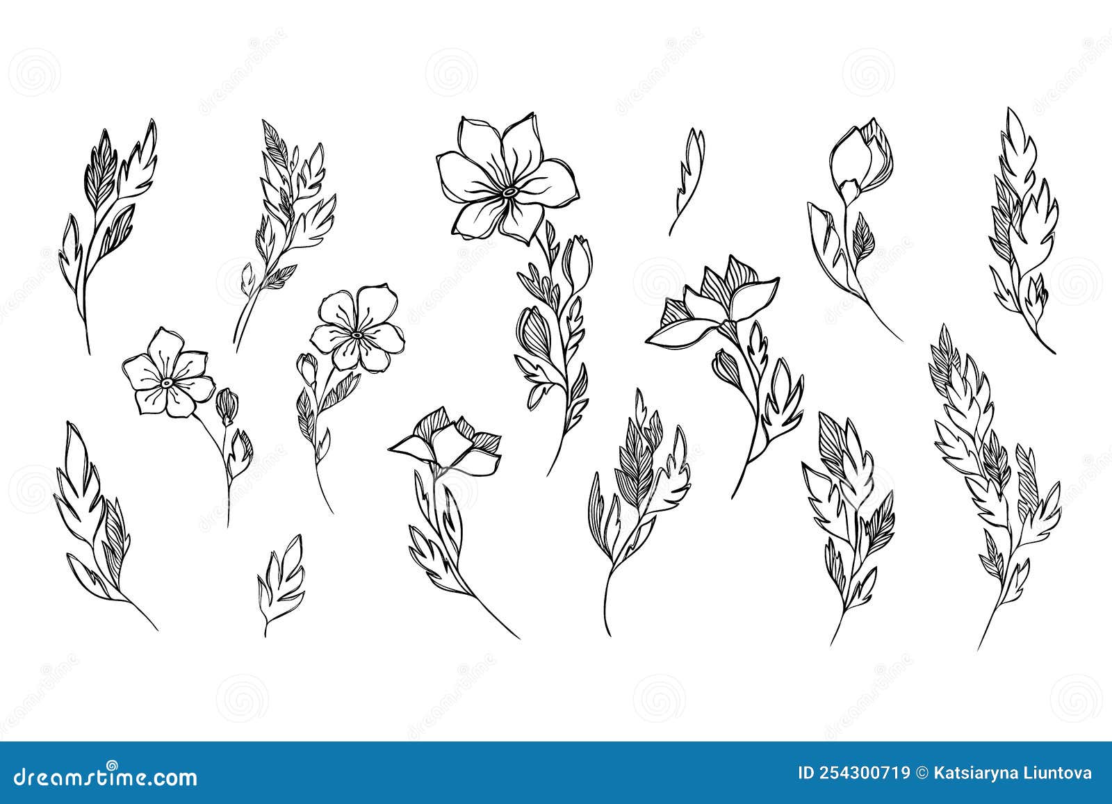 Set of Delicate Sketch of Spring Flower. Vector Illustration in Hand ... Set of Delicate Sketch of Spring Flower. Vector Illustration in Hand ...