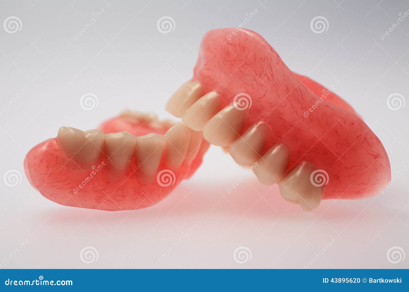 A set of dentures stock photo. Image of health, model - 43895620