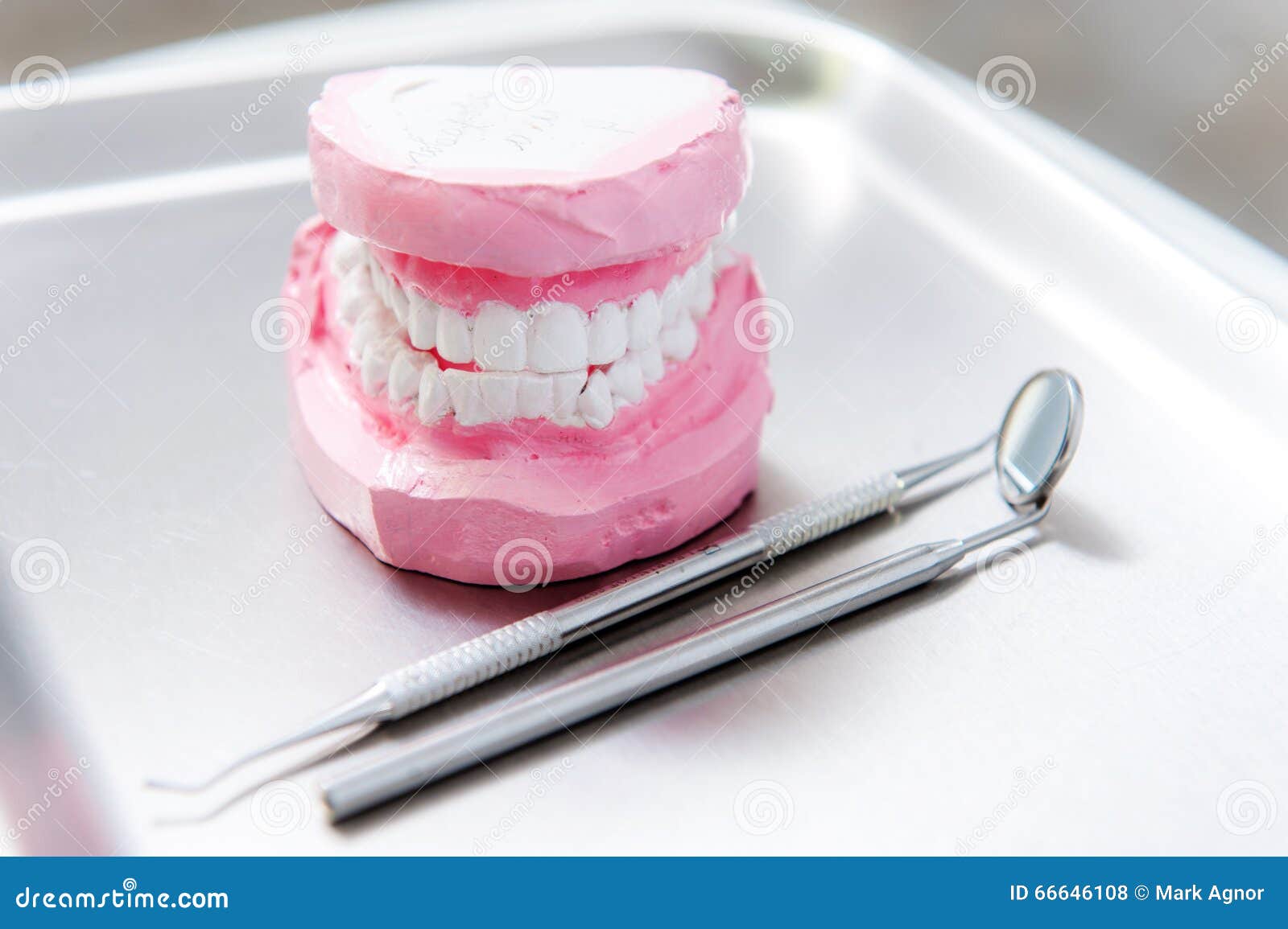 Set of dentures stock photo. Image of medicine, professional - 66646108