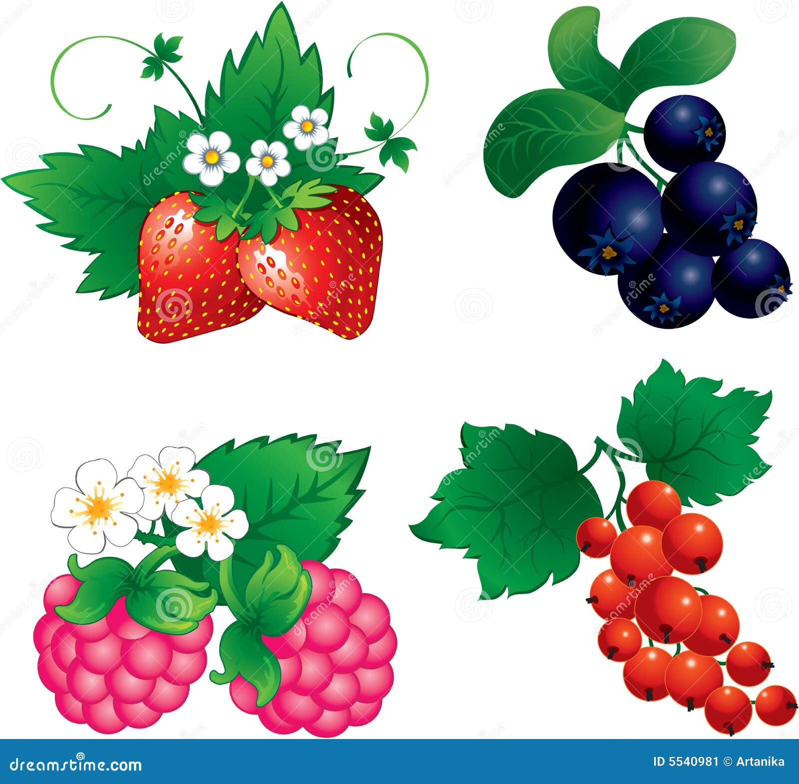 Set der Beere vektor abbildung. Illustration von reif - 5540981