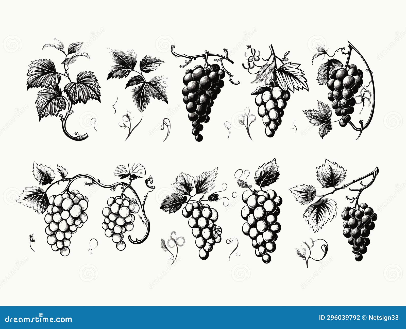 Set of Design Elements with Grapes in Hand-drawn Style Stock ...