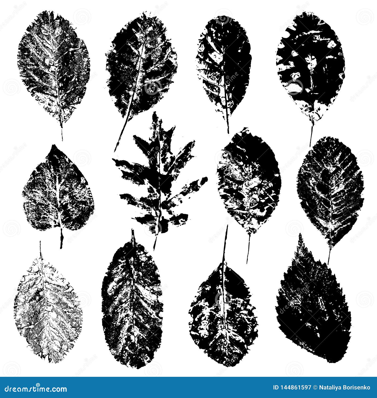 Set of Design Elements Leaaf Isolated on White Background. Collection ...