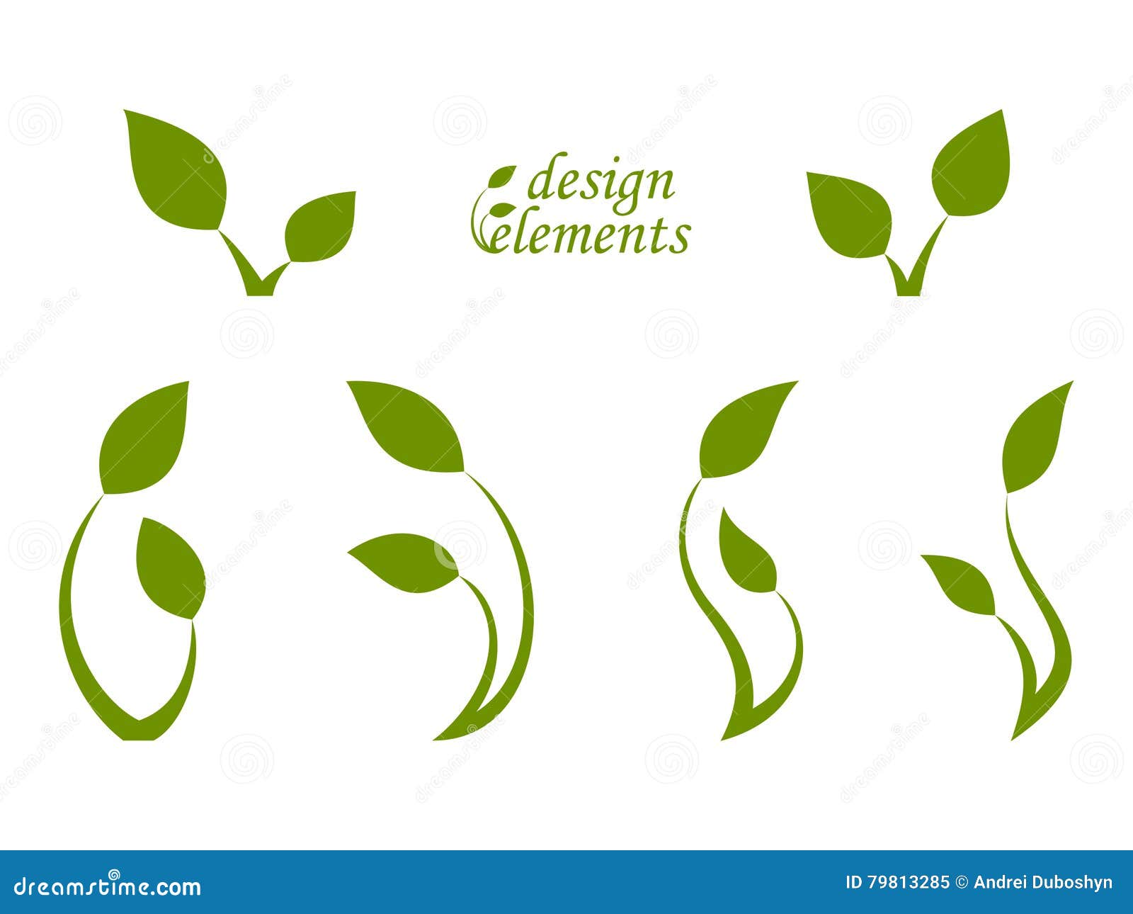 Set of design leaves stock vector. Illustration of ecology - 79813285