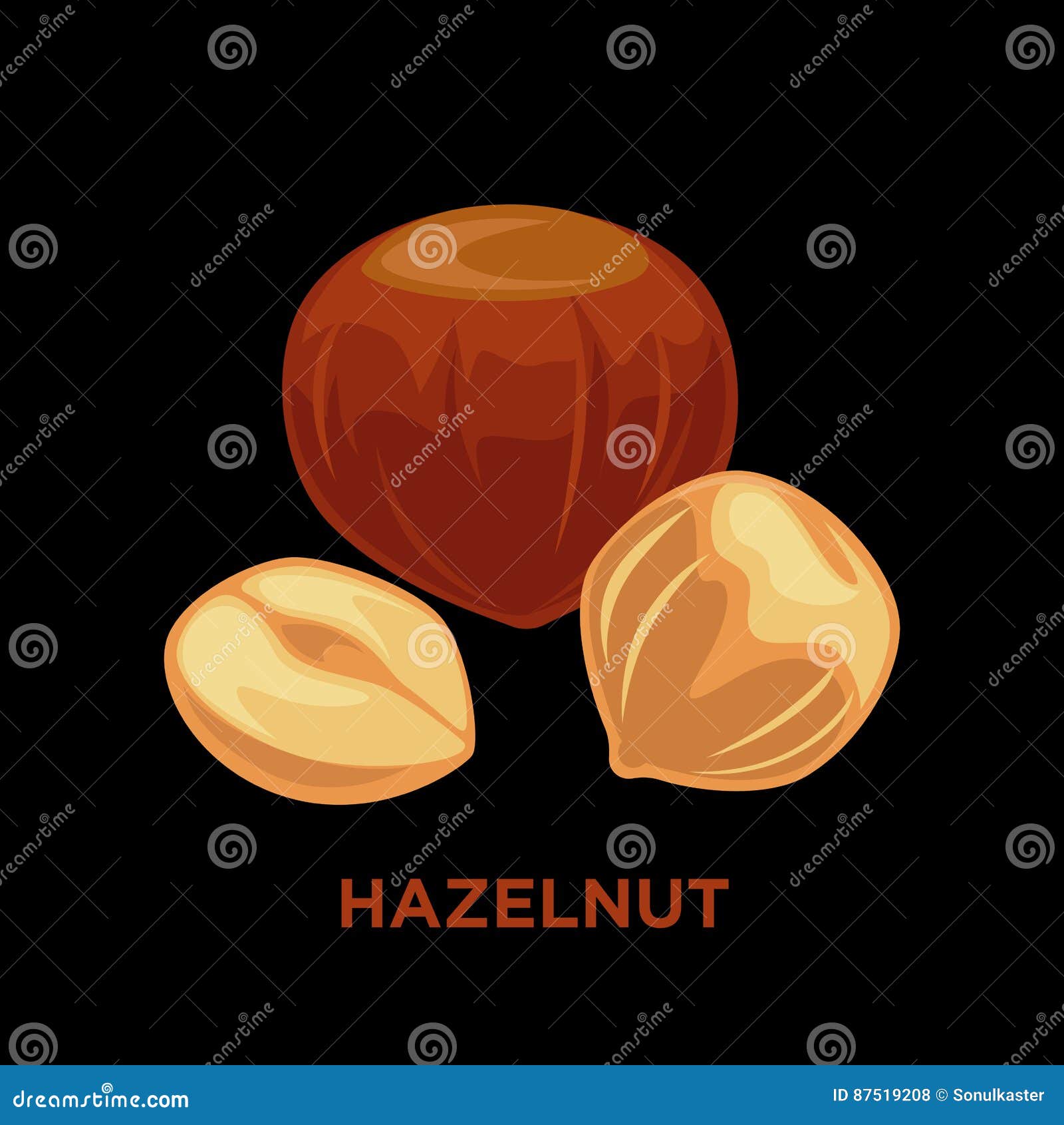 Set of Detailed Cartoon Hazelnuts Isolated Stock Vector - Illustration ...