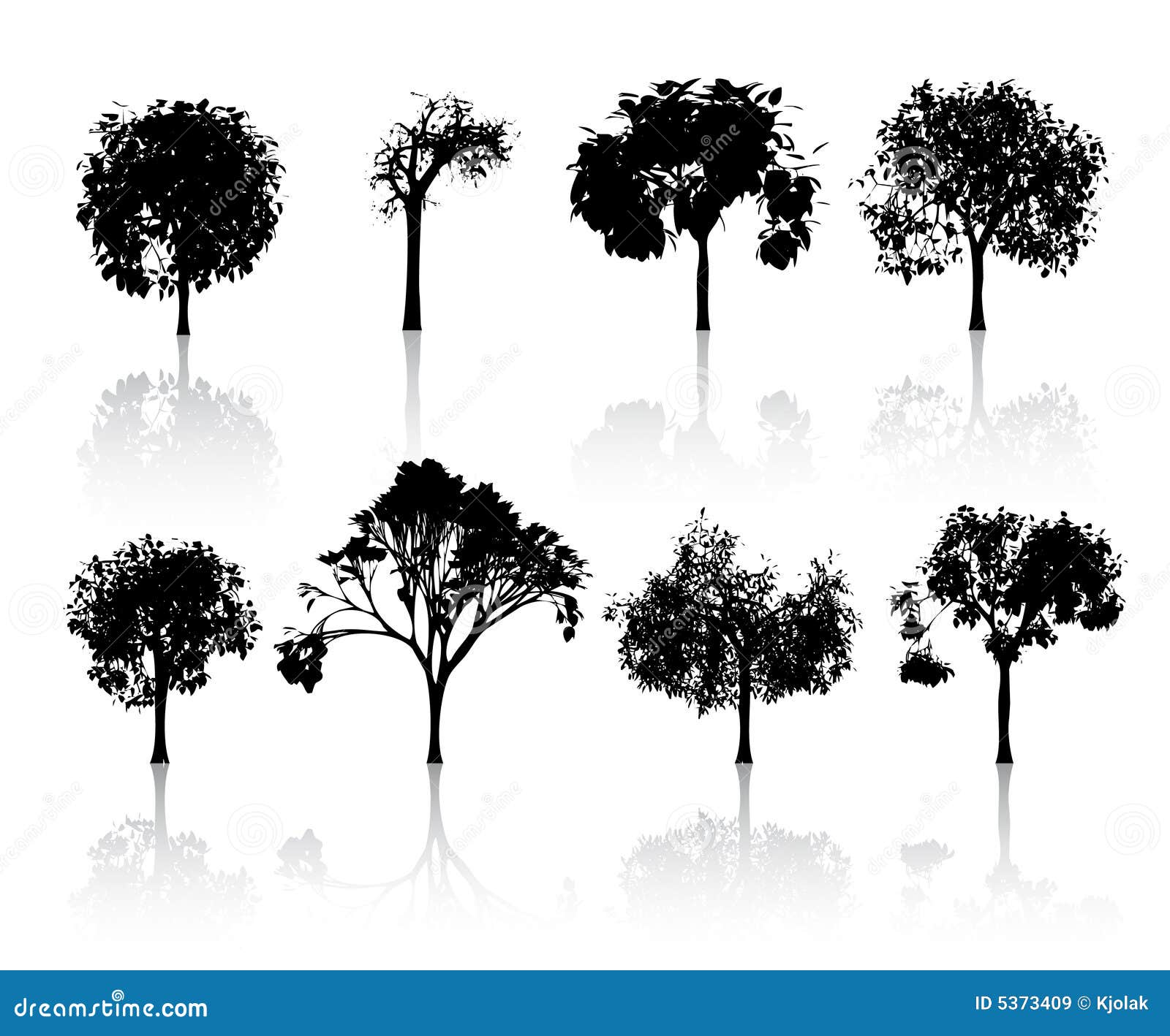 Set of detailed trees stock vector. Illustration of branch - 5373409