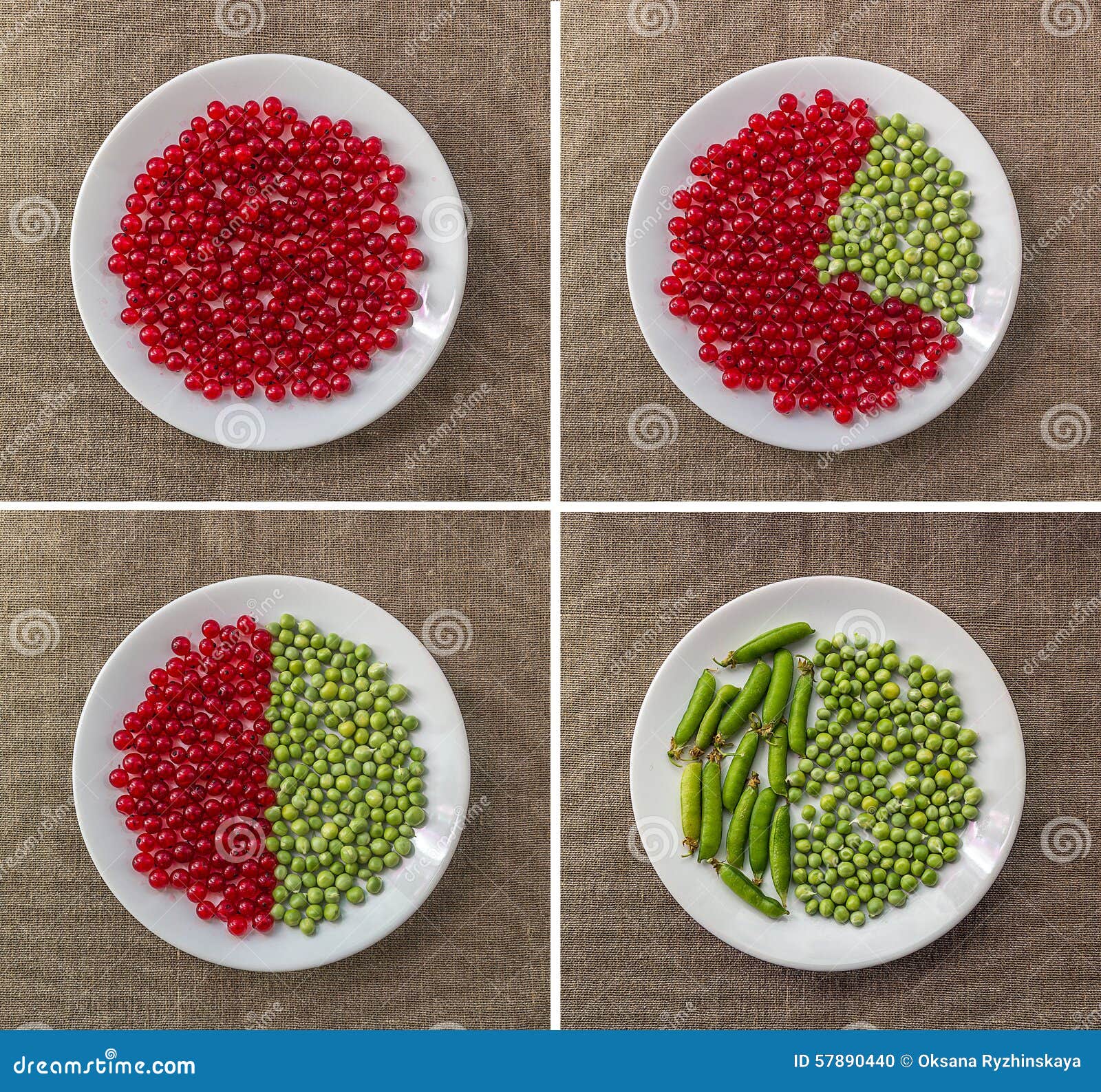 Set of Diagrams of Red Currant and Peas Stock Photo - Image of berry ...