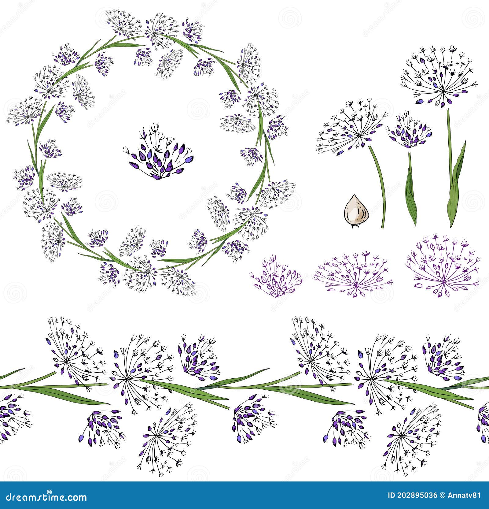 Set with Different Allium on White Stock Illustration - Illustration of ...