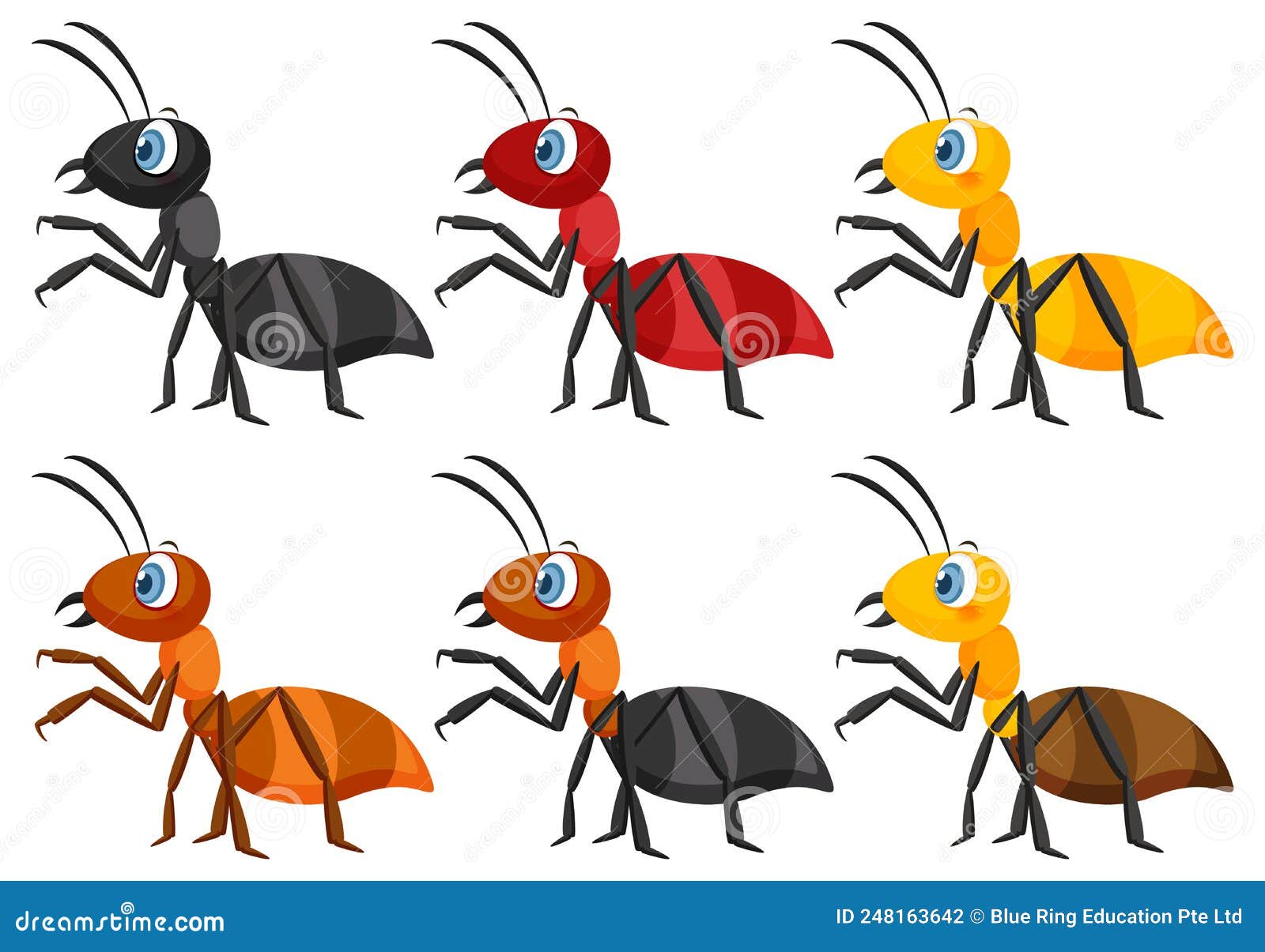 Set of Different Ants Isolated Stock Vector - Illustration of graphic ...