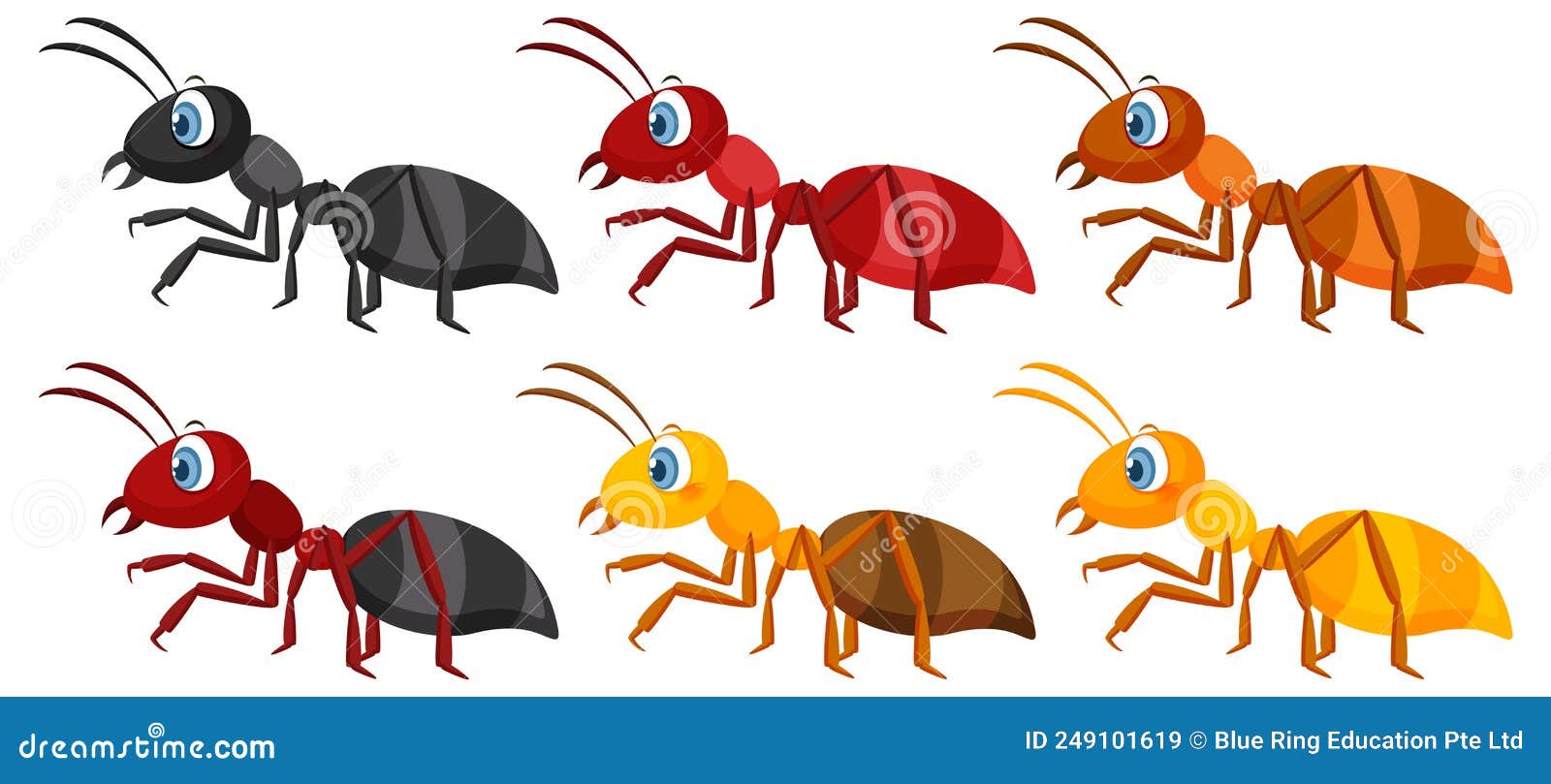 Set of Different Ants Isolated Stock Vector - Illustration of graphic ...