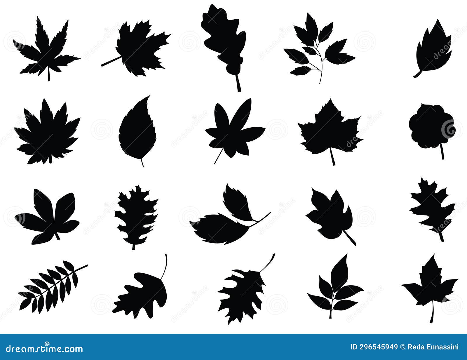Set of Different Autumn Leaves Silhouette. Isolated Vector ...