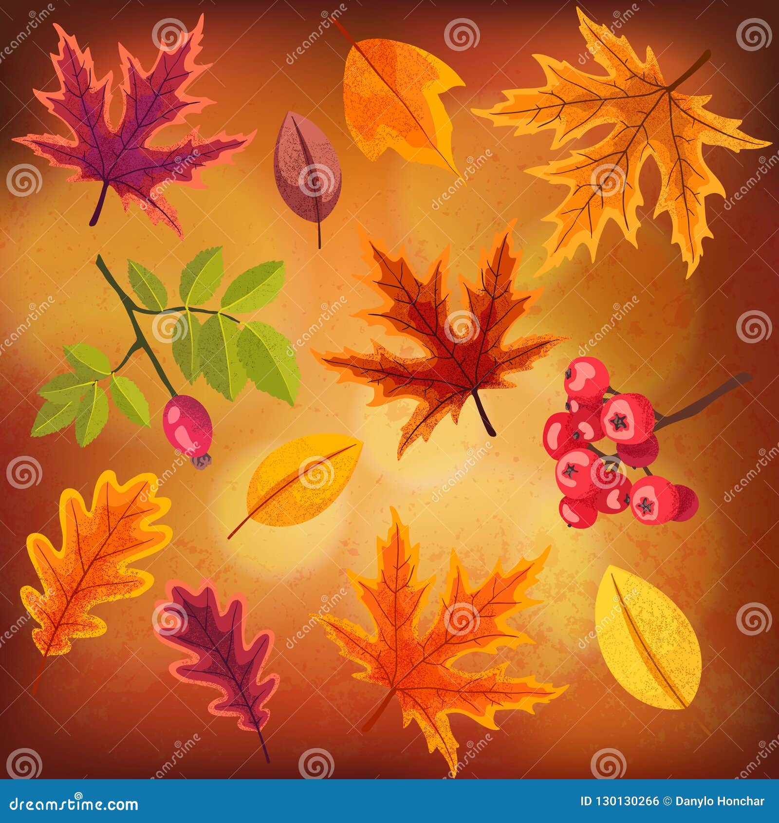 Set of Different Autumn Leaves in Warm Colors. Stock Vector ...