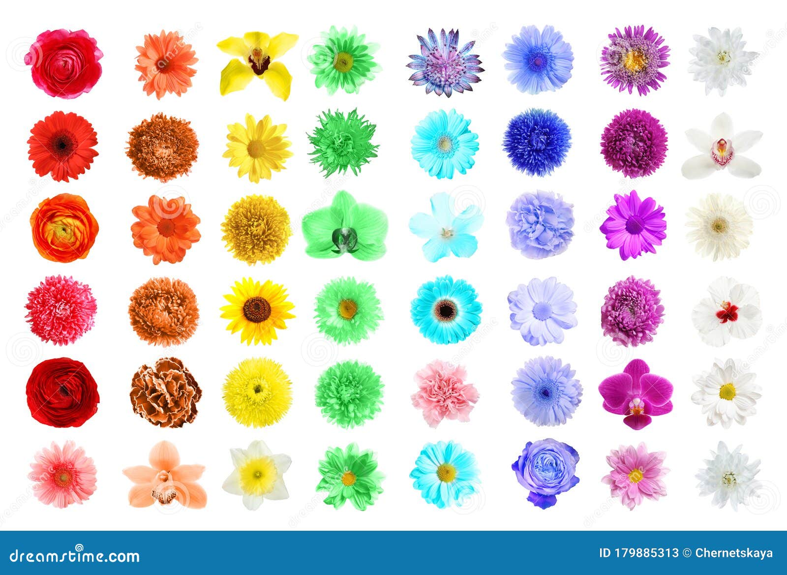 Set of Different Beautiful Flowers on Background Stock Image - Image of ...