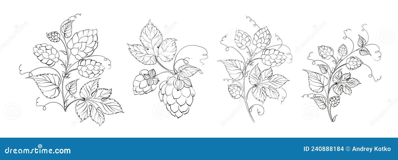 Set of Different Branches of Hops on White Background. Stock Vector ...