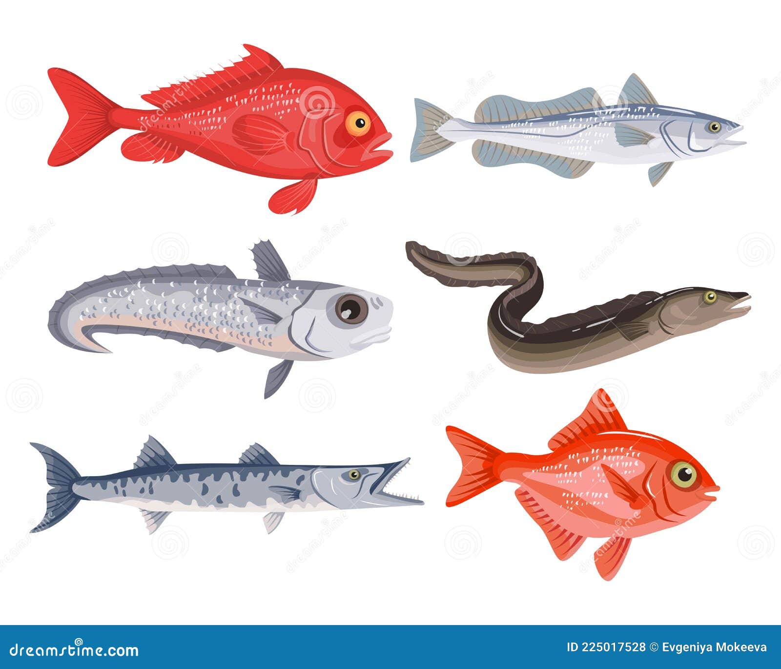 Set of Different Cartoon Fish on White Background. Seafood Collection ...