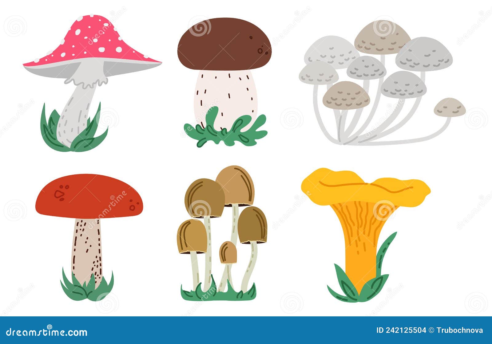 Set of Different Cartoon Mushrooms Isolated on White Background ...