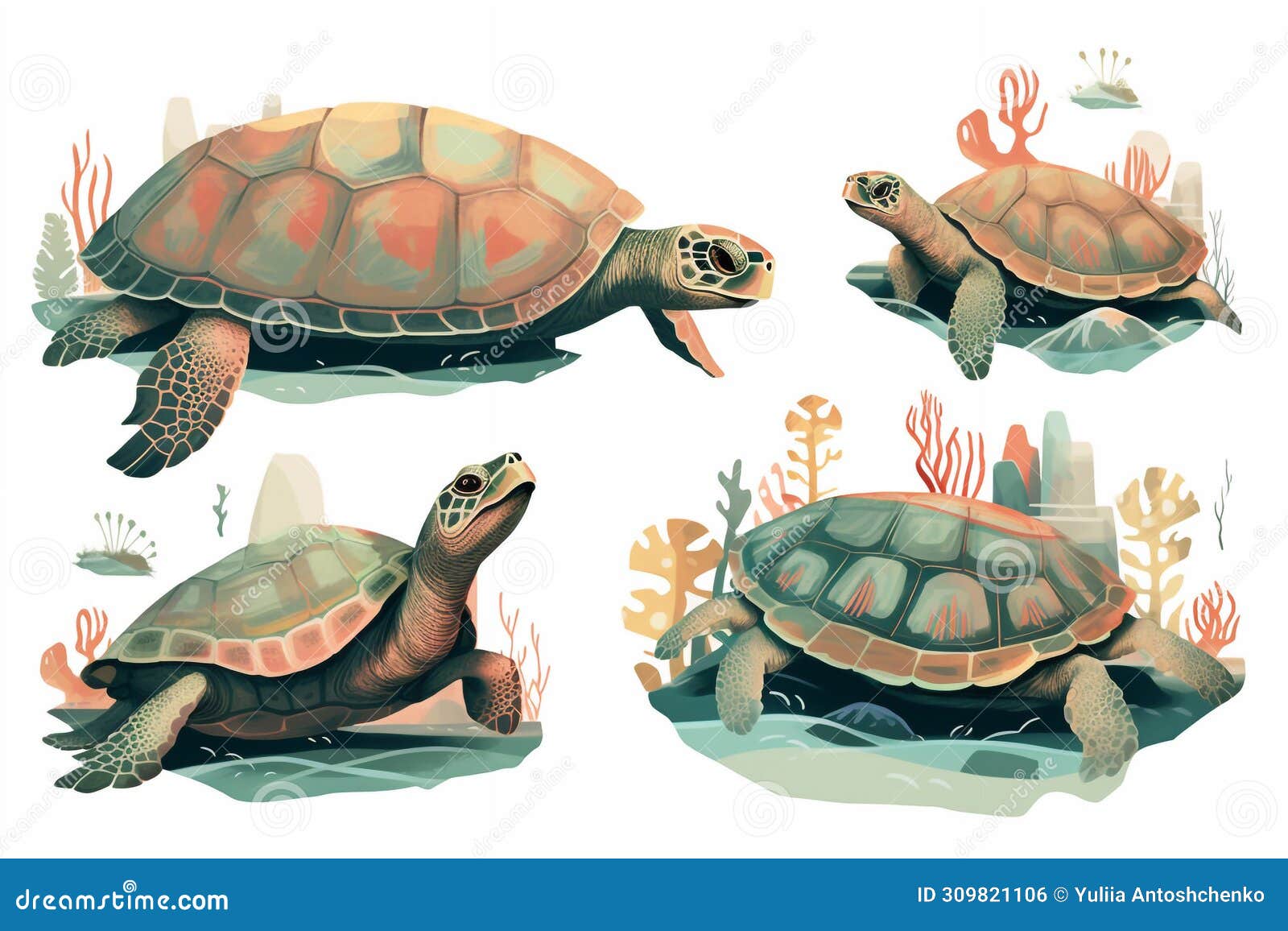Set of Different Cartoon Turtles Stock Illustration - Illustration of ...