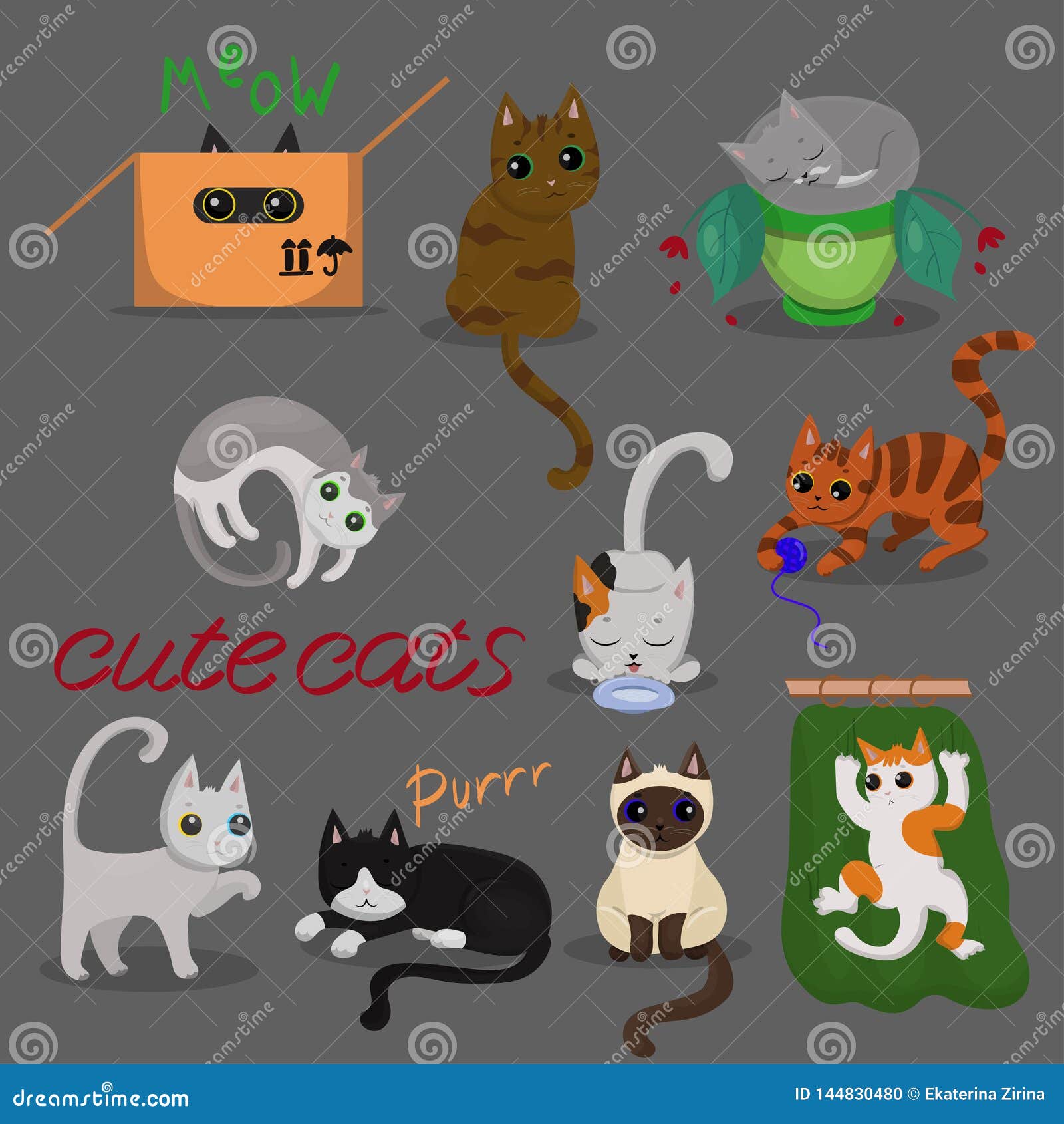 Set of Different Cats in Different Poses with on Grey Background ...