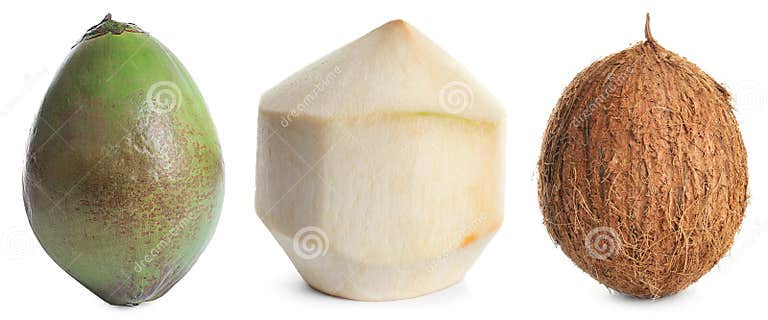 Set with Different Coconuts Stock Image - Image of plant, object: 124433671