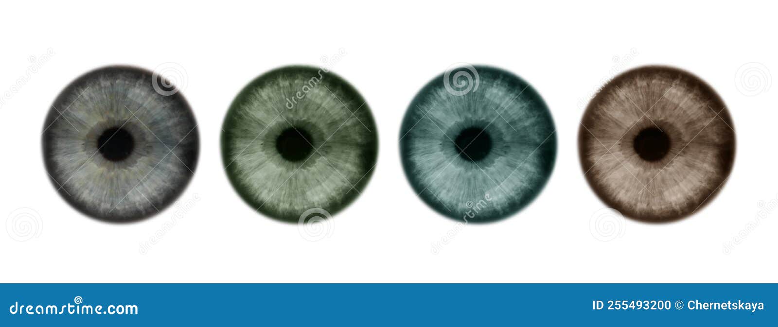 Set with Different Color Eyes on White Background. Banner Design Stock ...