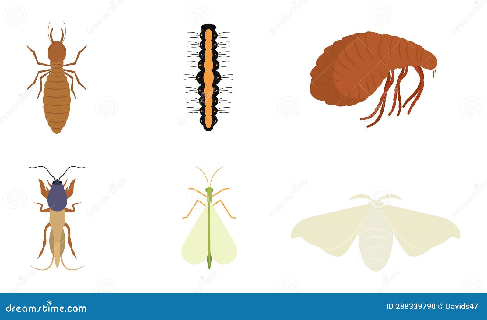 Set of Different Colored Insect Icons Vector Stock Vector ...