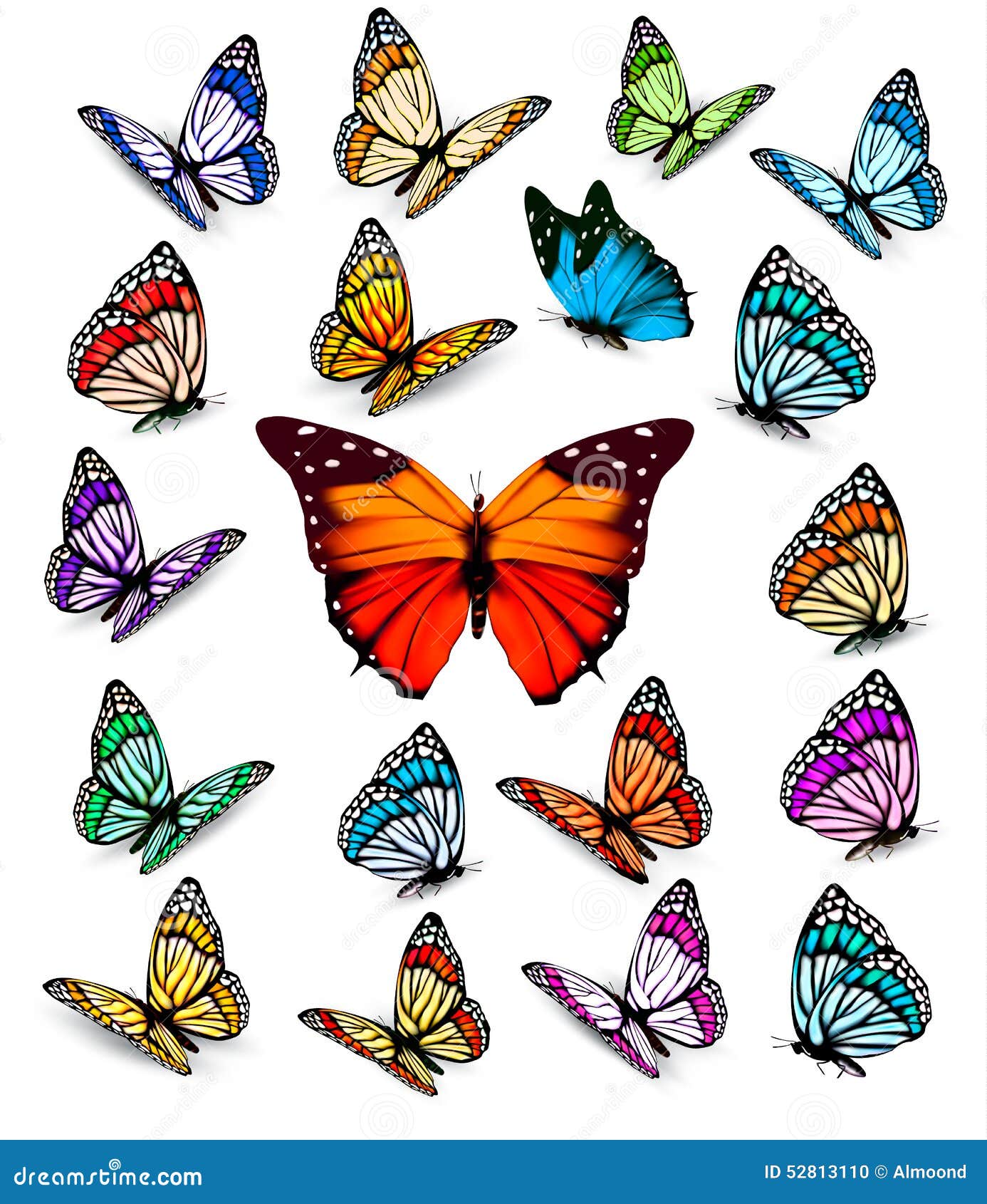 Set of Different Colorful Butterflies. Stock Vector - Illustration of ...